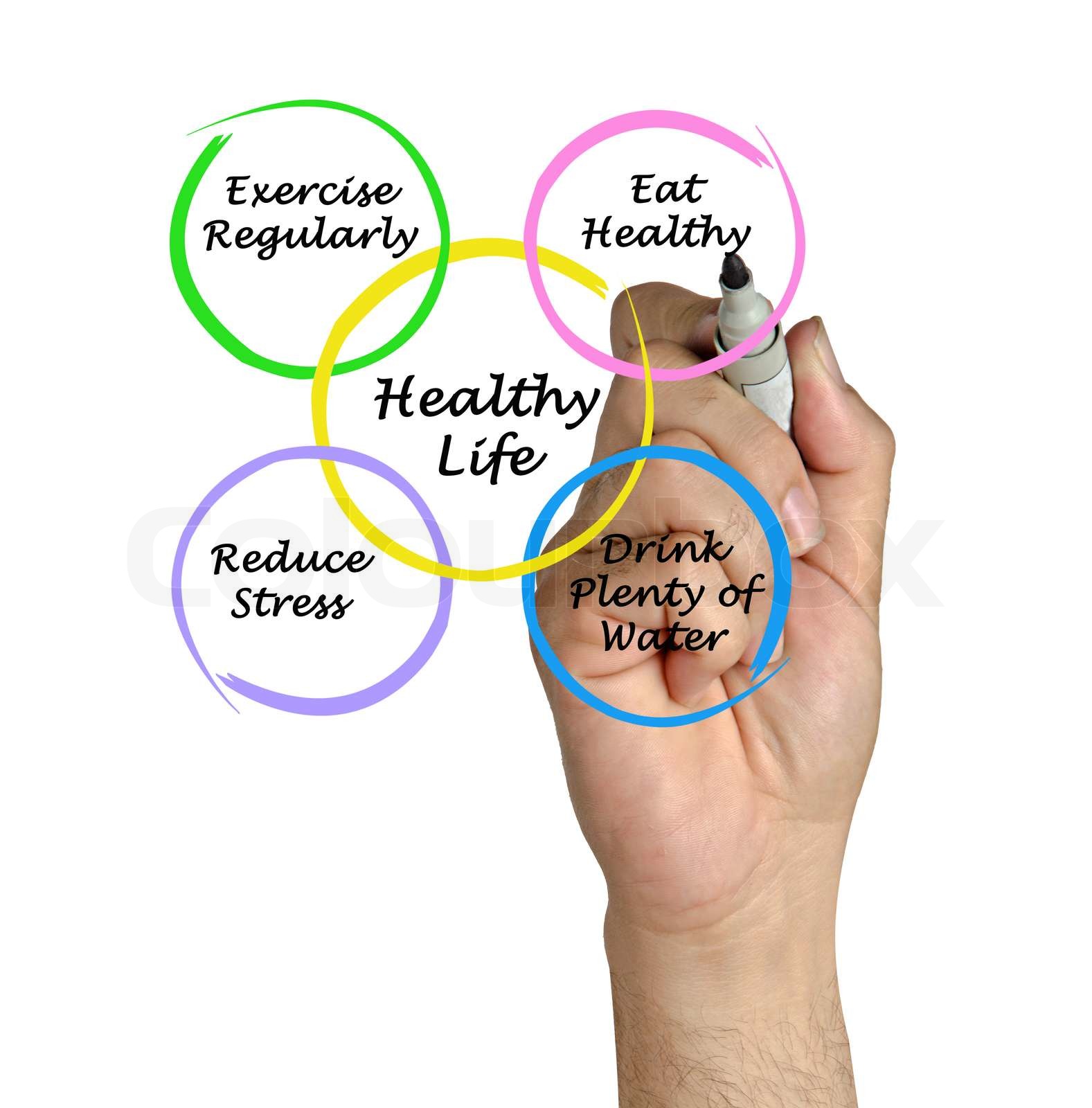 Diagram of healthy life | Stock image | Colourbox