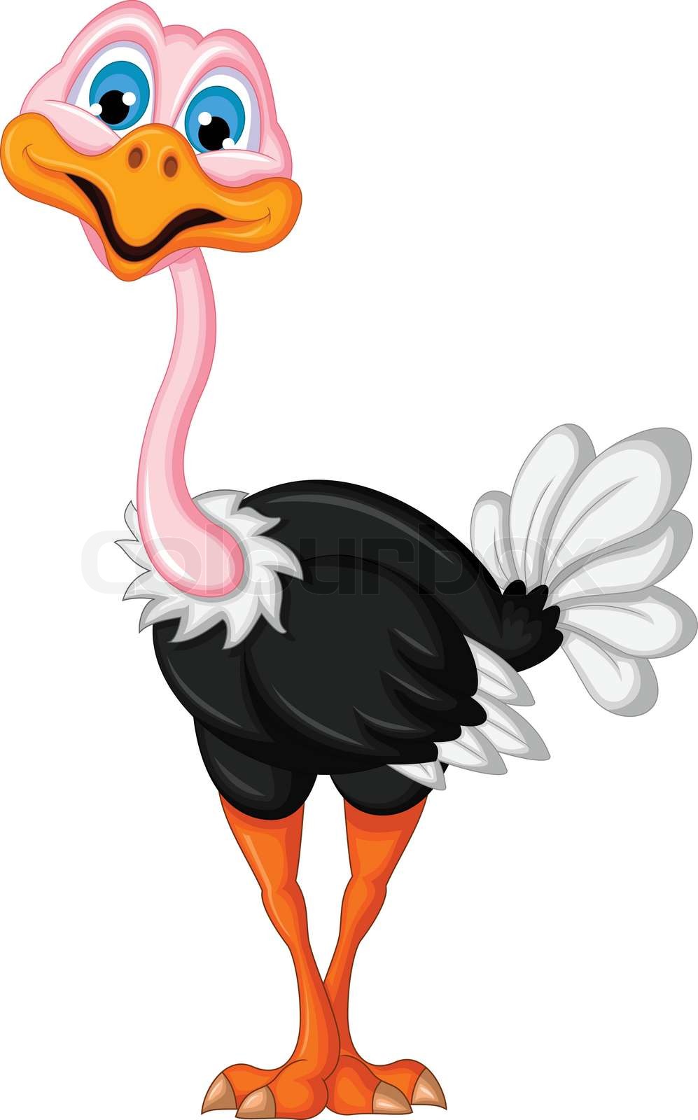 ostrich cartoon posing | Stock vector | Colourbox