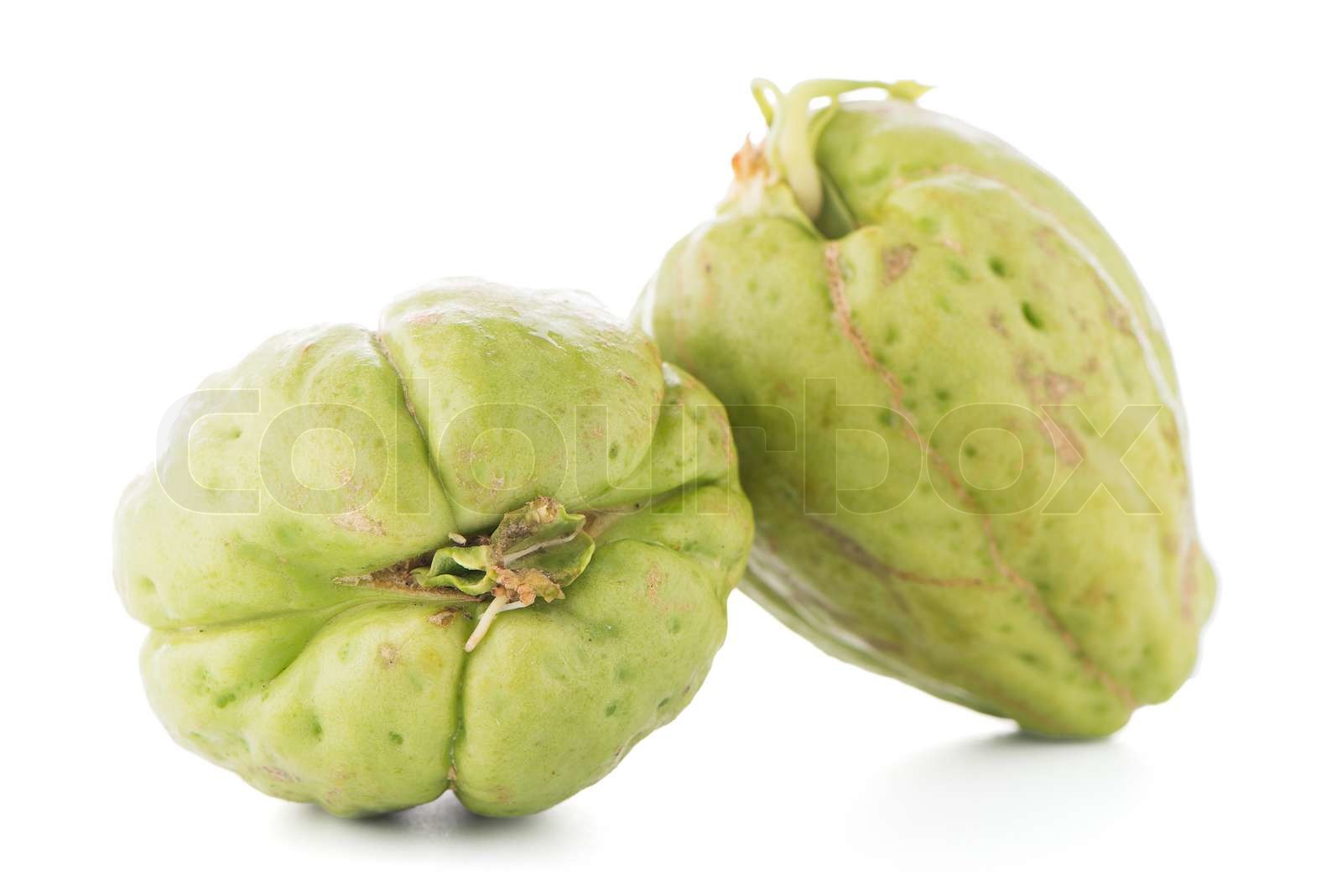 Chayote Stock Image Colourbox