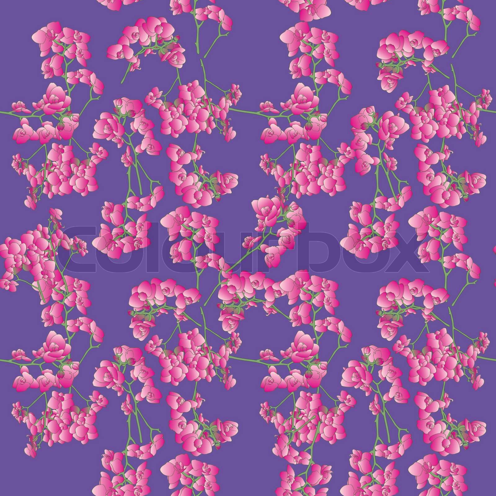 Pink Orchids Pattern Stock Vector Colourbox