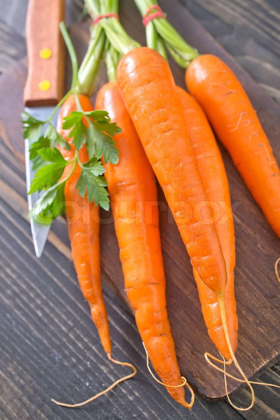 carrot | Stock image | Colourbox