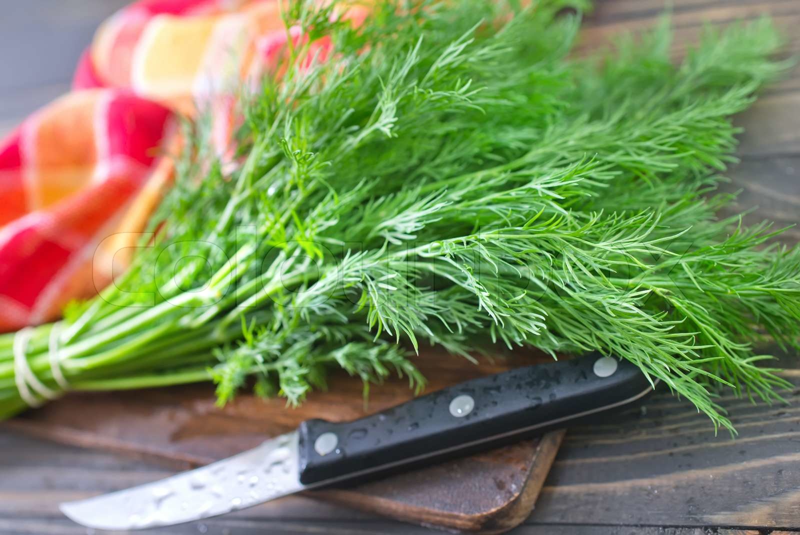 fresh dill | Stock image | Colourbox