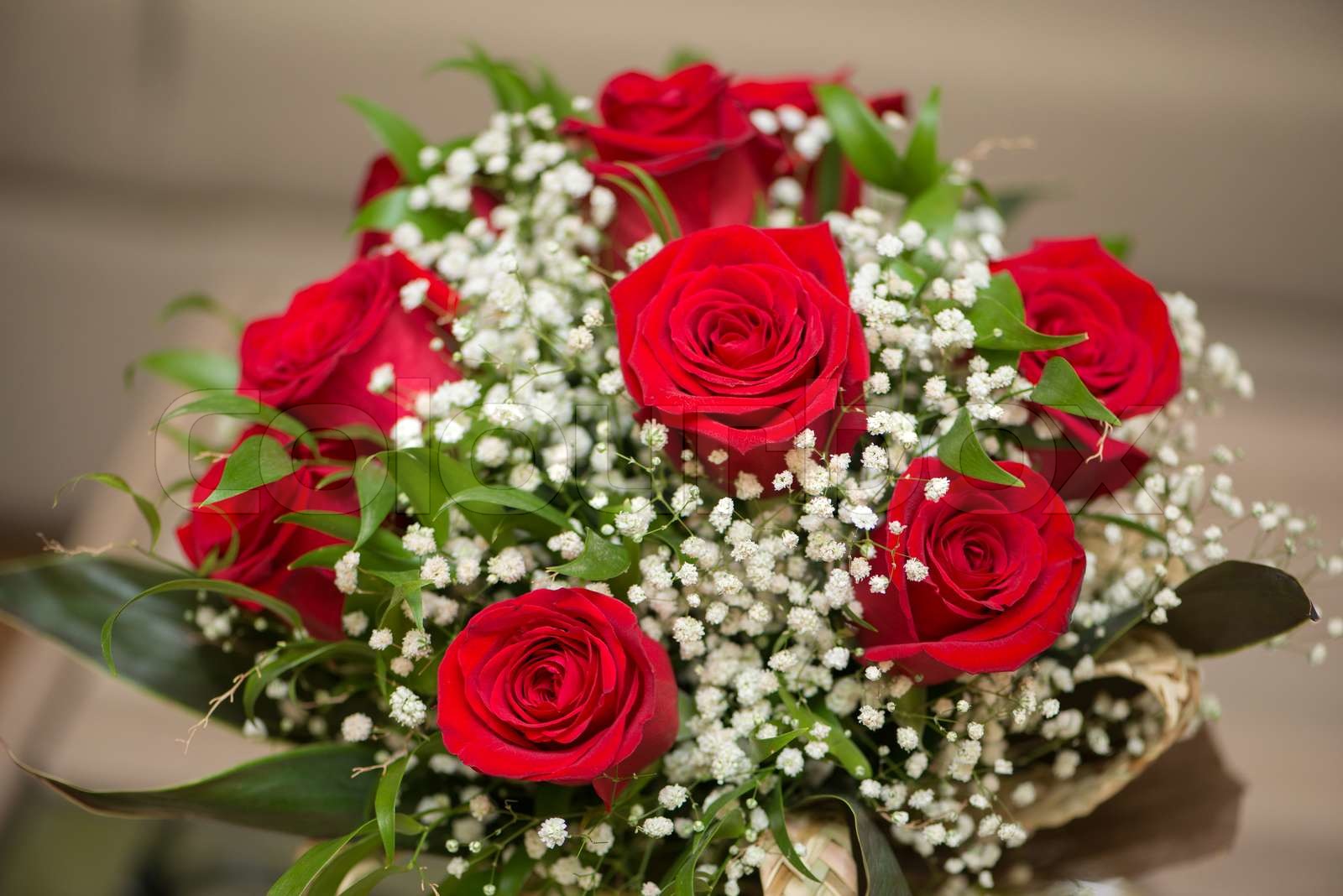 Nice roses in celebration concept | Stock image | Colourbox