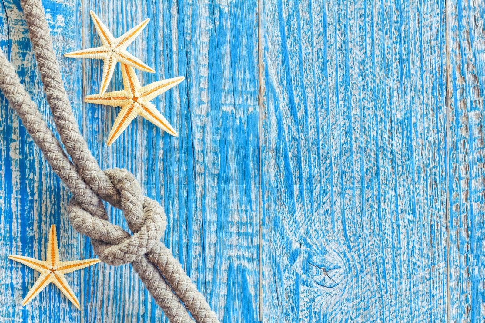 Rope and sea shells | Stock image | Colourbox