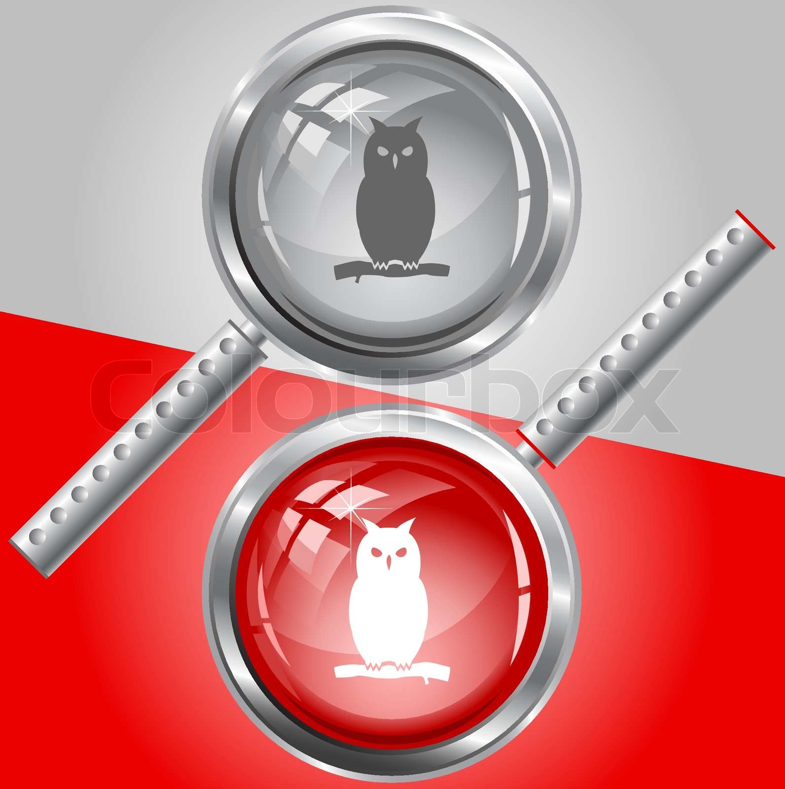 Owl. Vector magnifying glass. | Stock vector | Colourbox