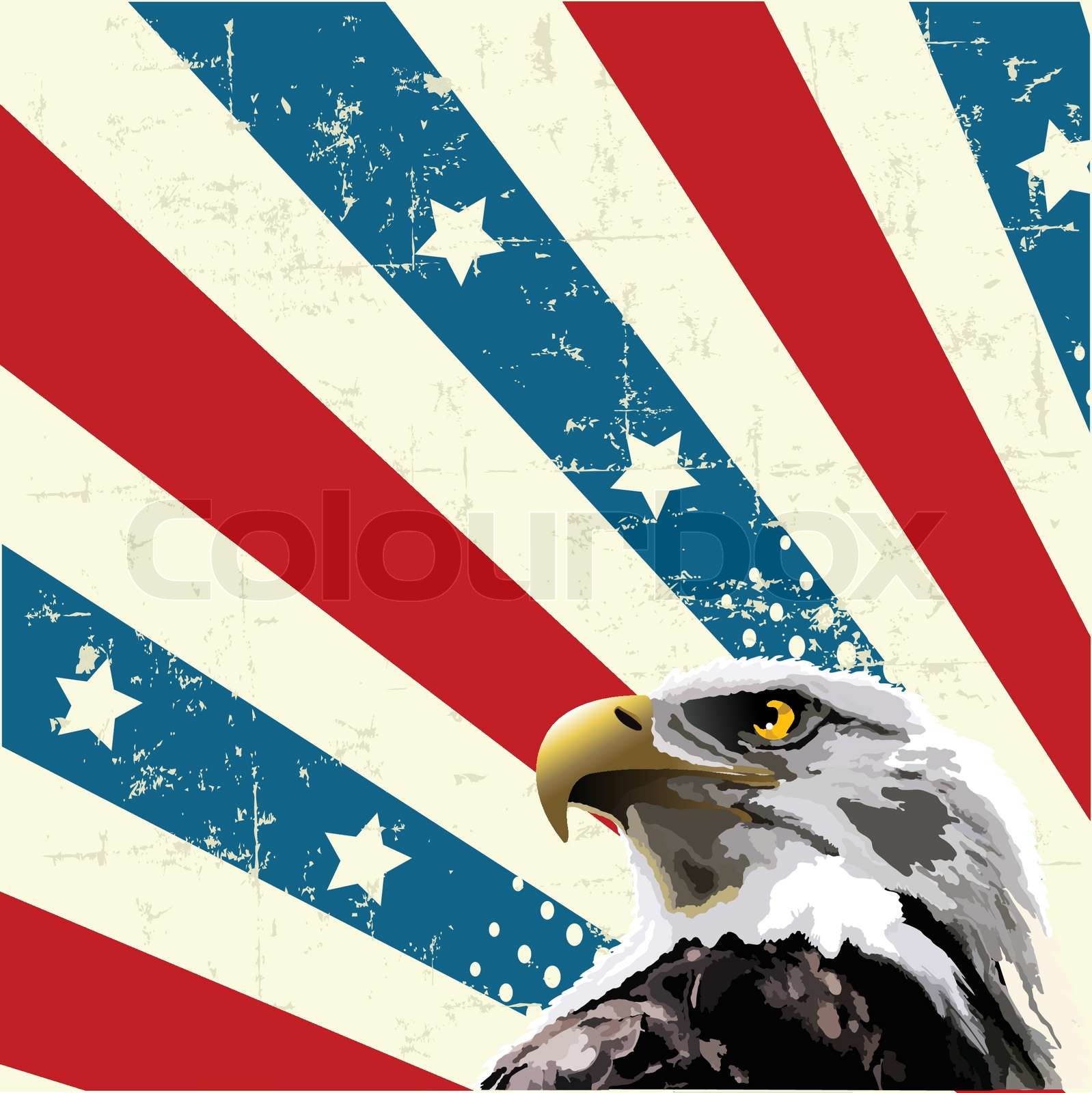 Bald Eagle | Stock vector | Colourbox