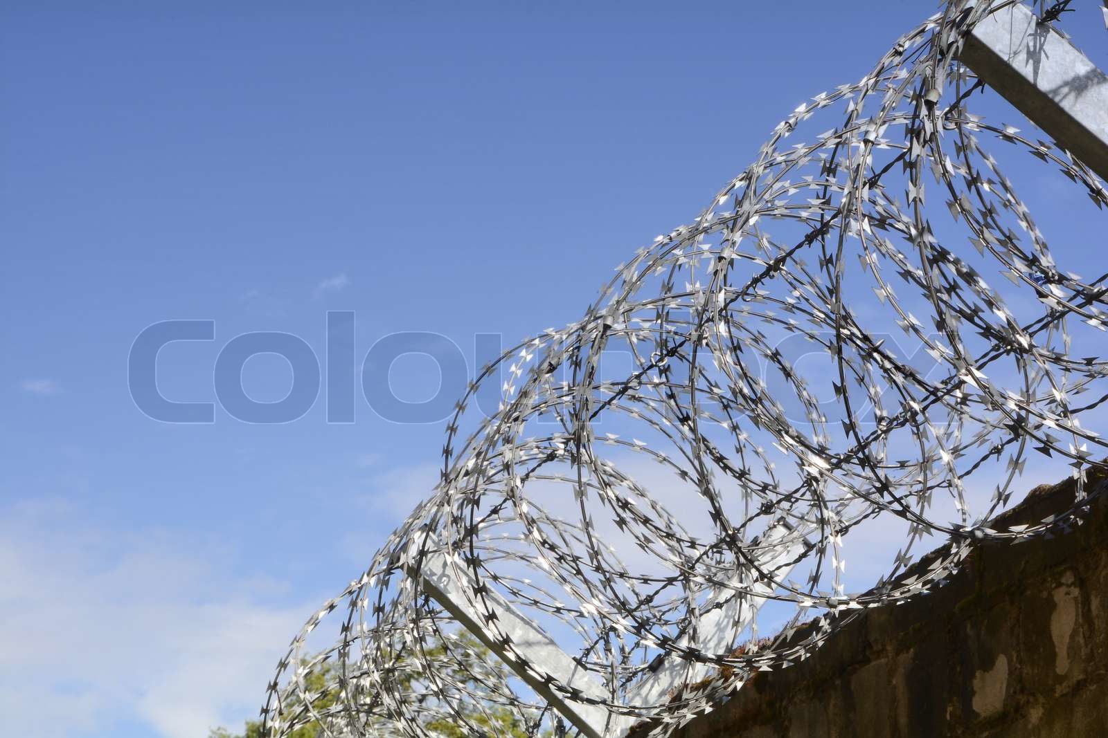 Stacheldraht | Stock Bild | Colourbox