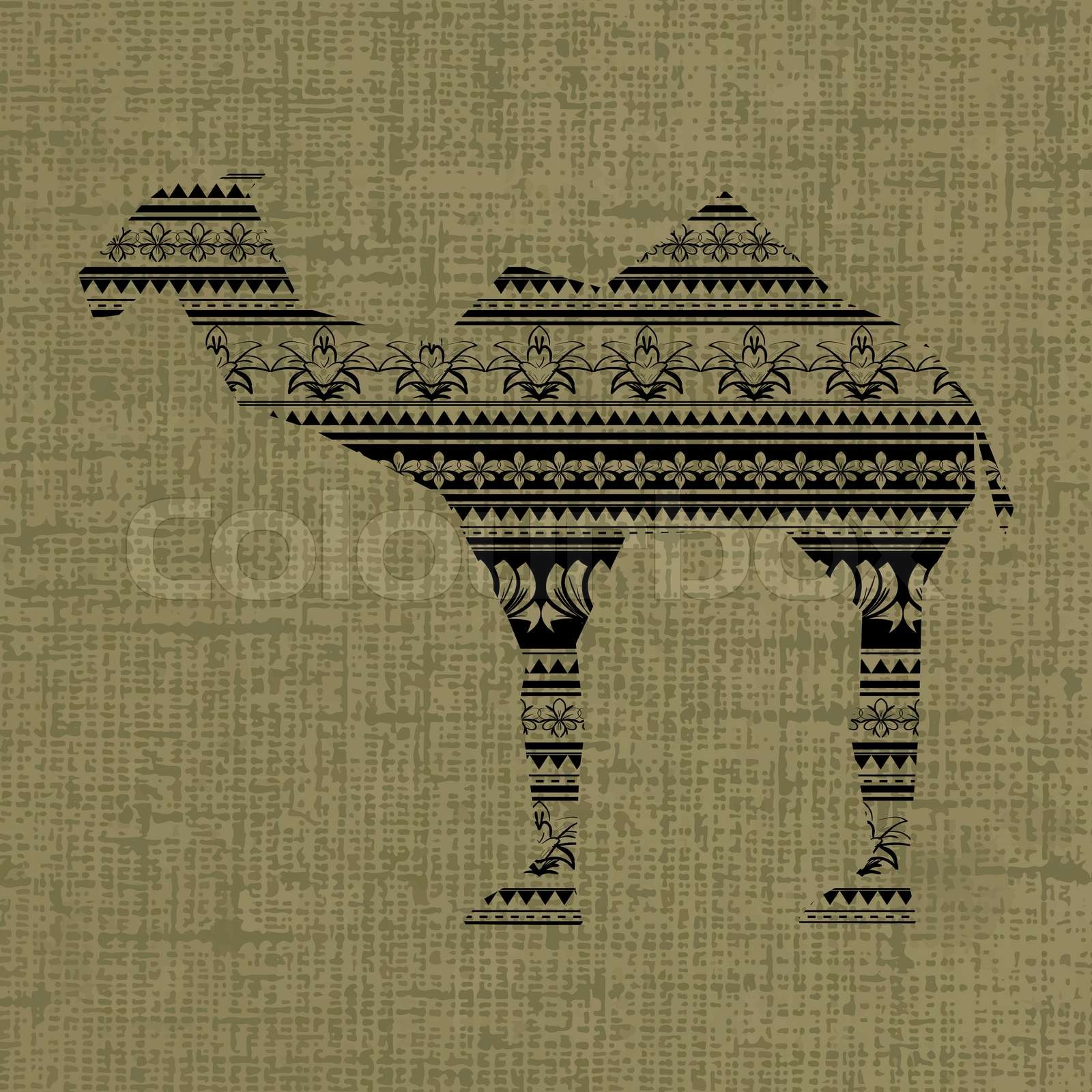 aboriginal camel | Stock image | Colourbox