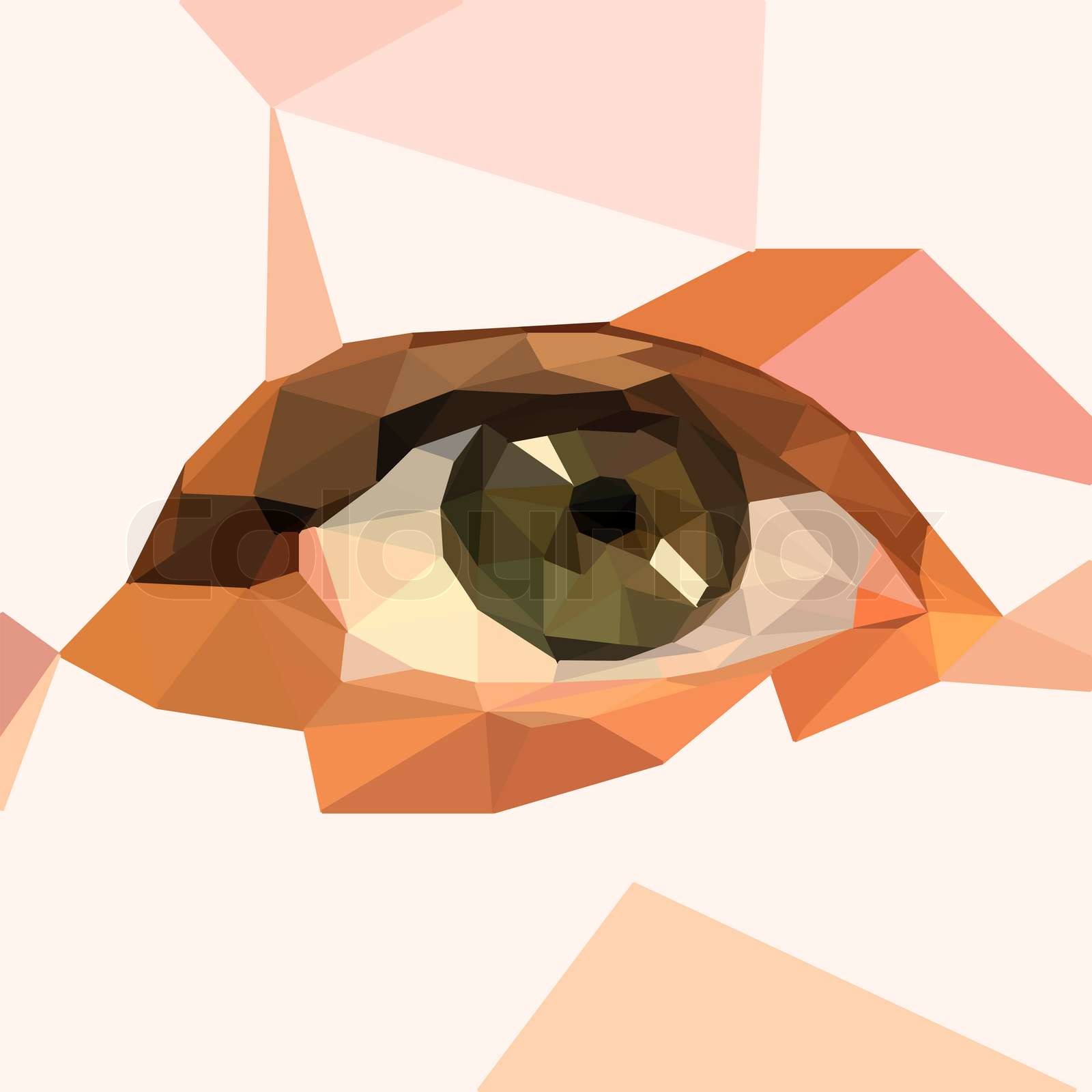polygon eye | Stock image | Colourbox
