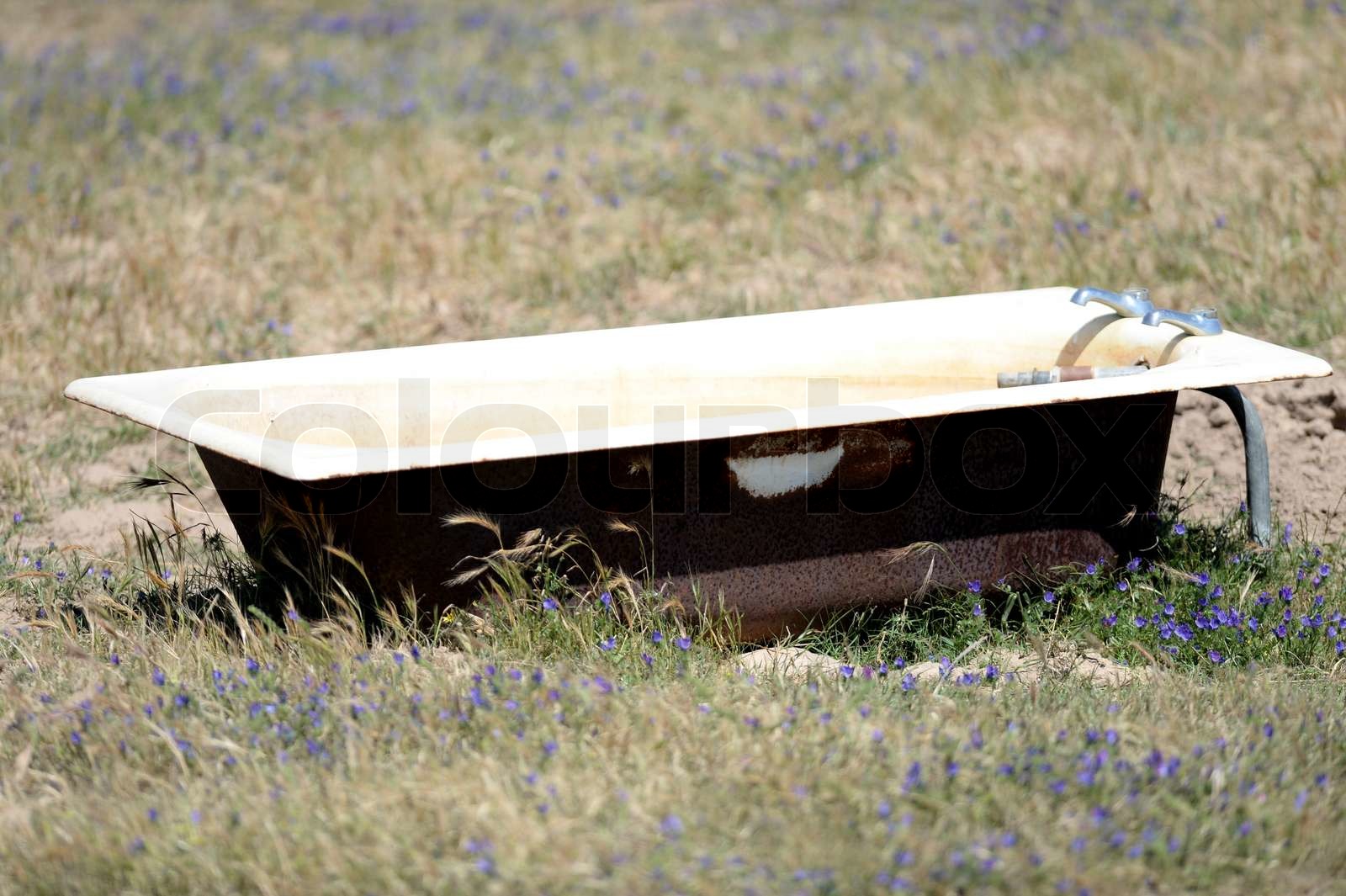Bath Tub Trough | Stock image | Colourbox
