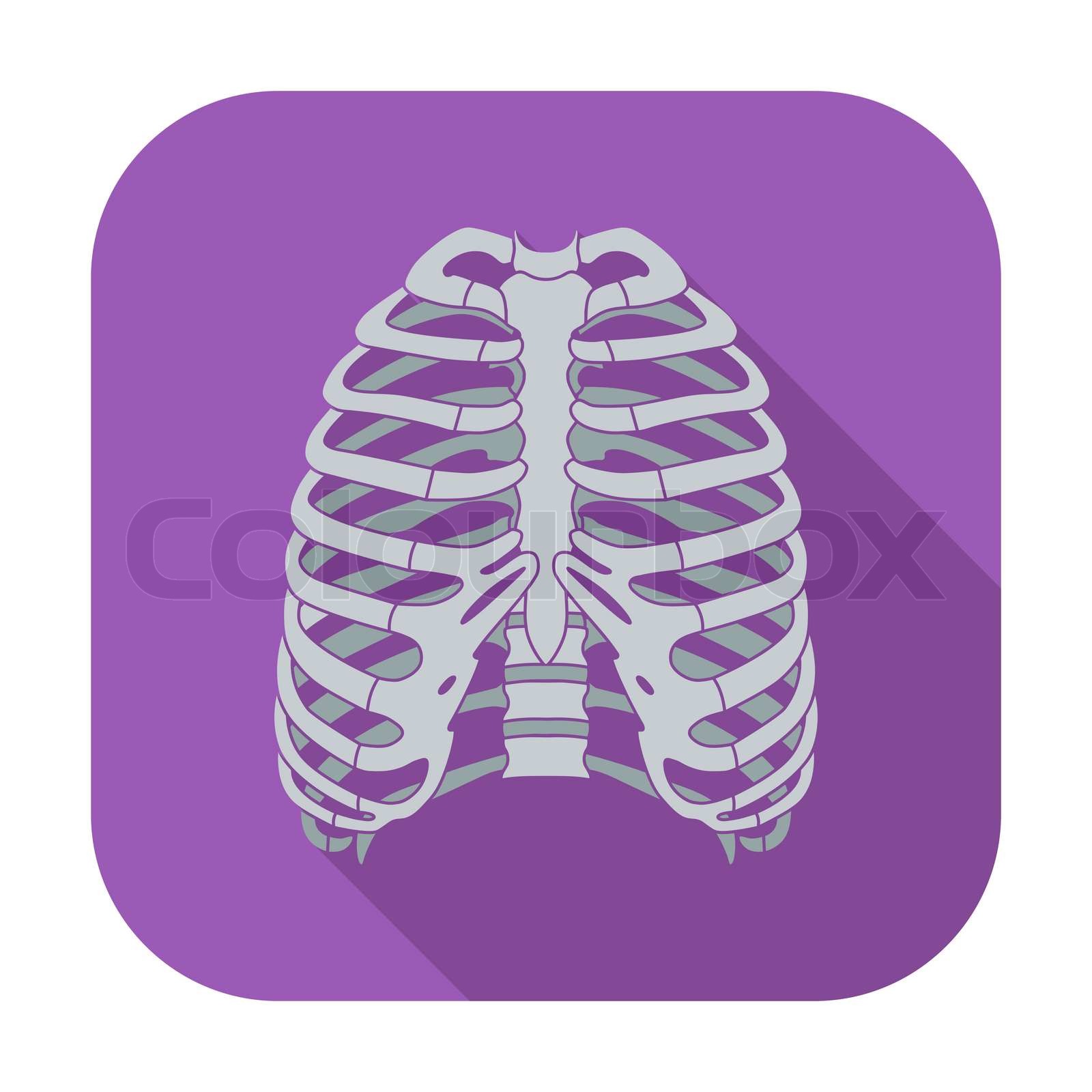 Icon of human thorax. | Stock vector | Colourbox