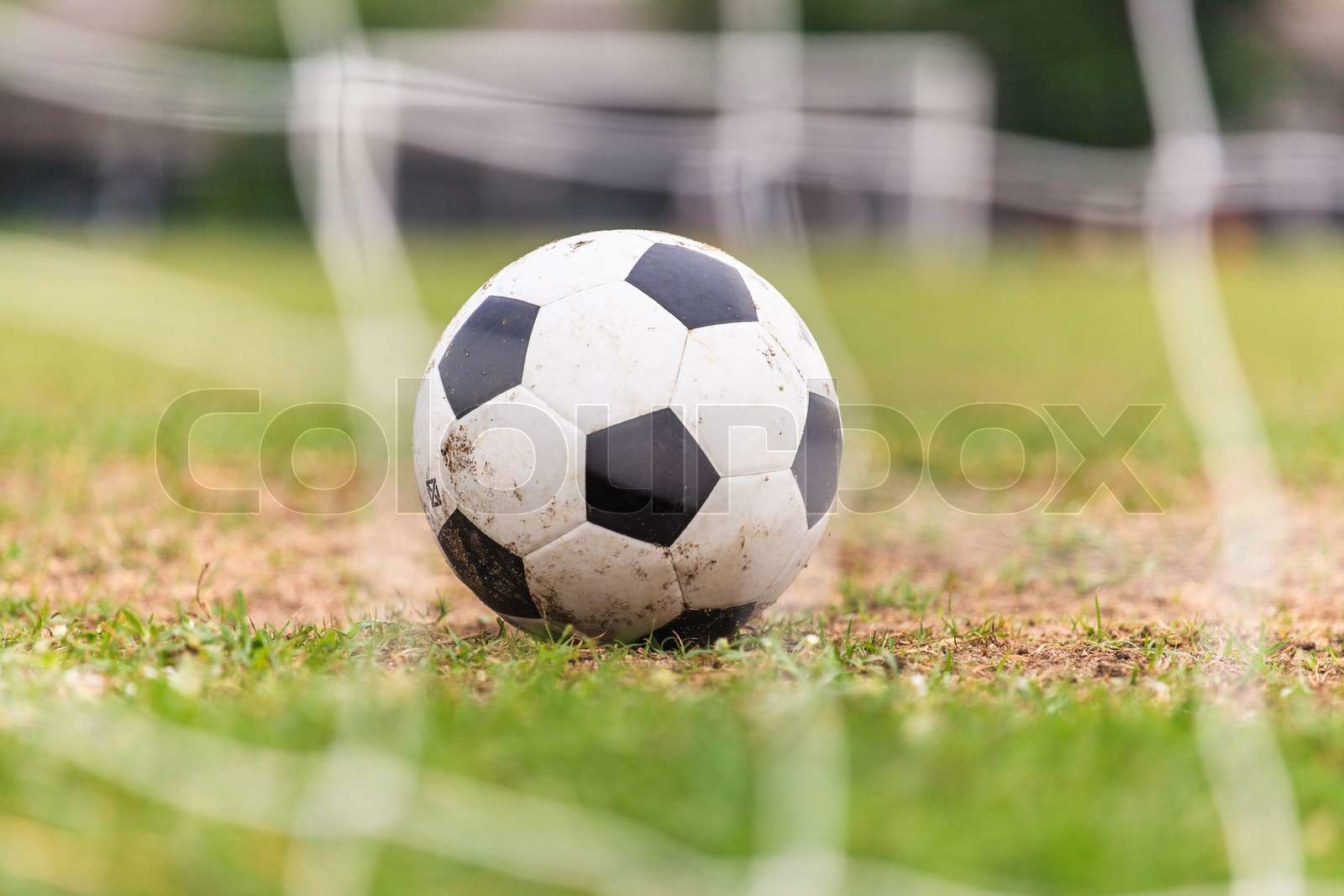 Soccer | Stock image | Colourbox