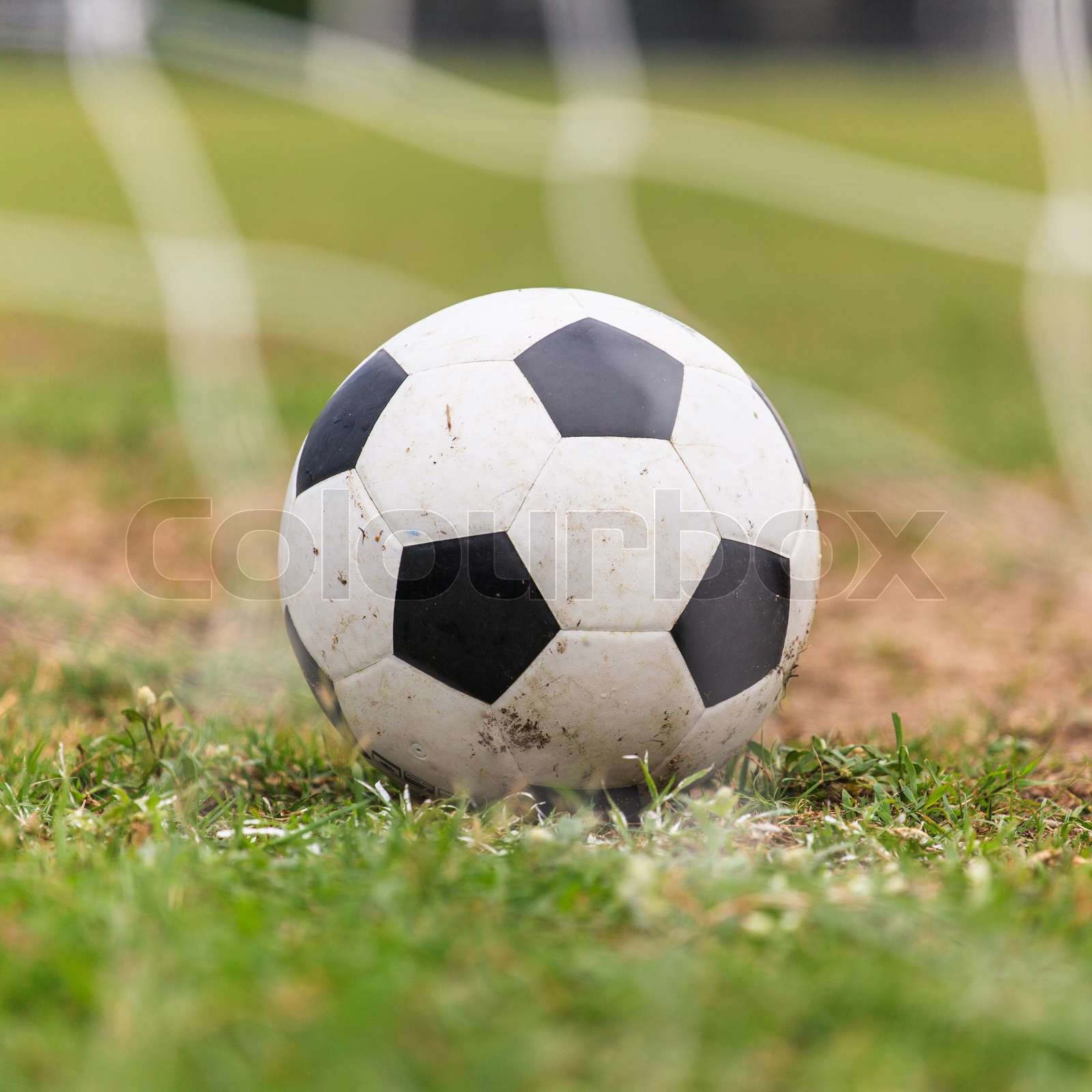 Soccer | Stock image | Colourbox