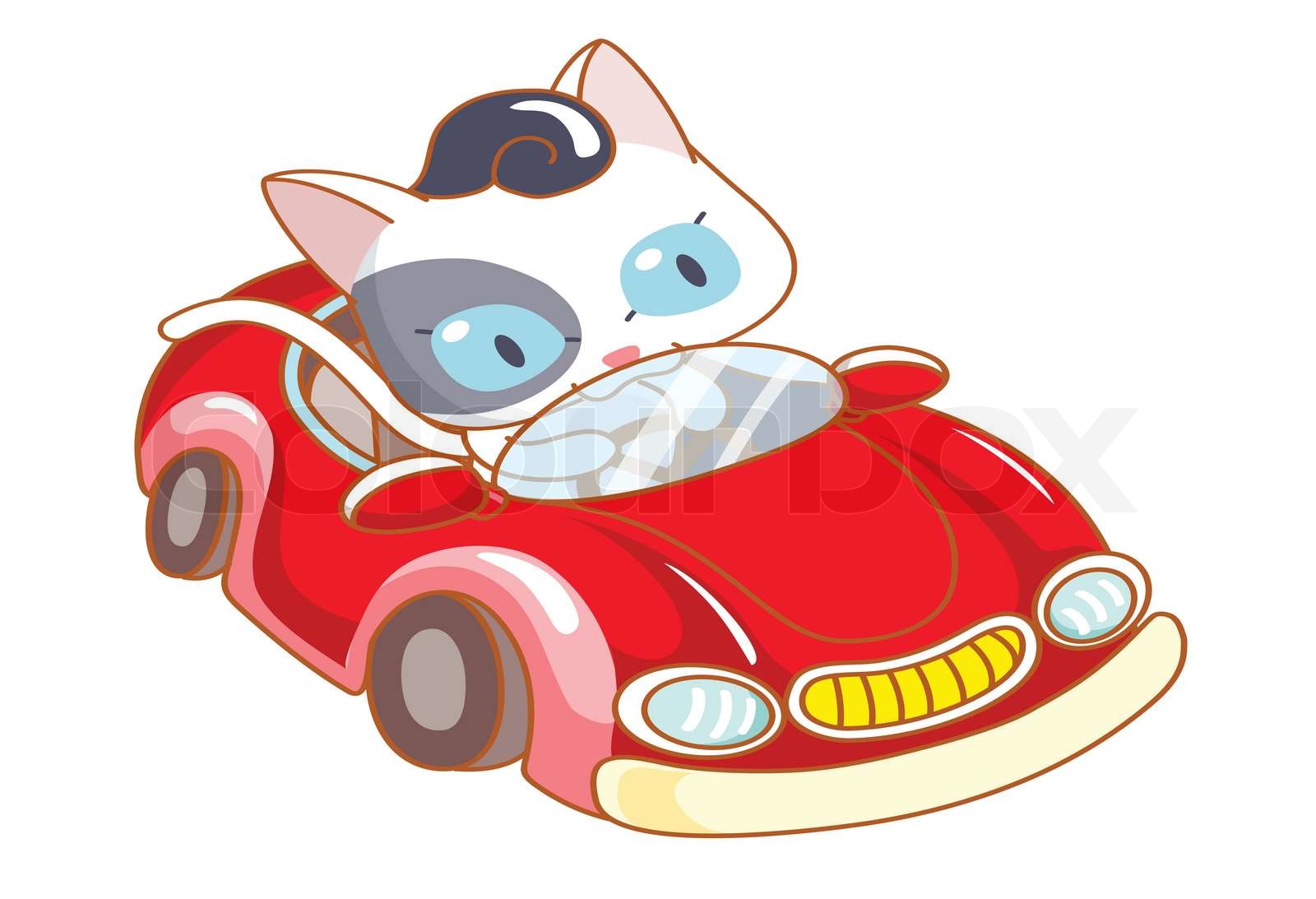 cute cartoon cat riding a red car | Stock vector | Colourbox