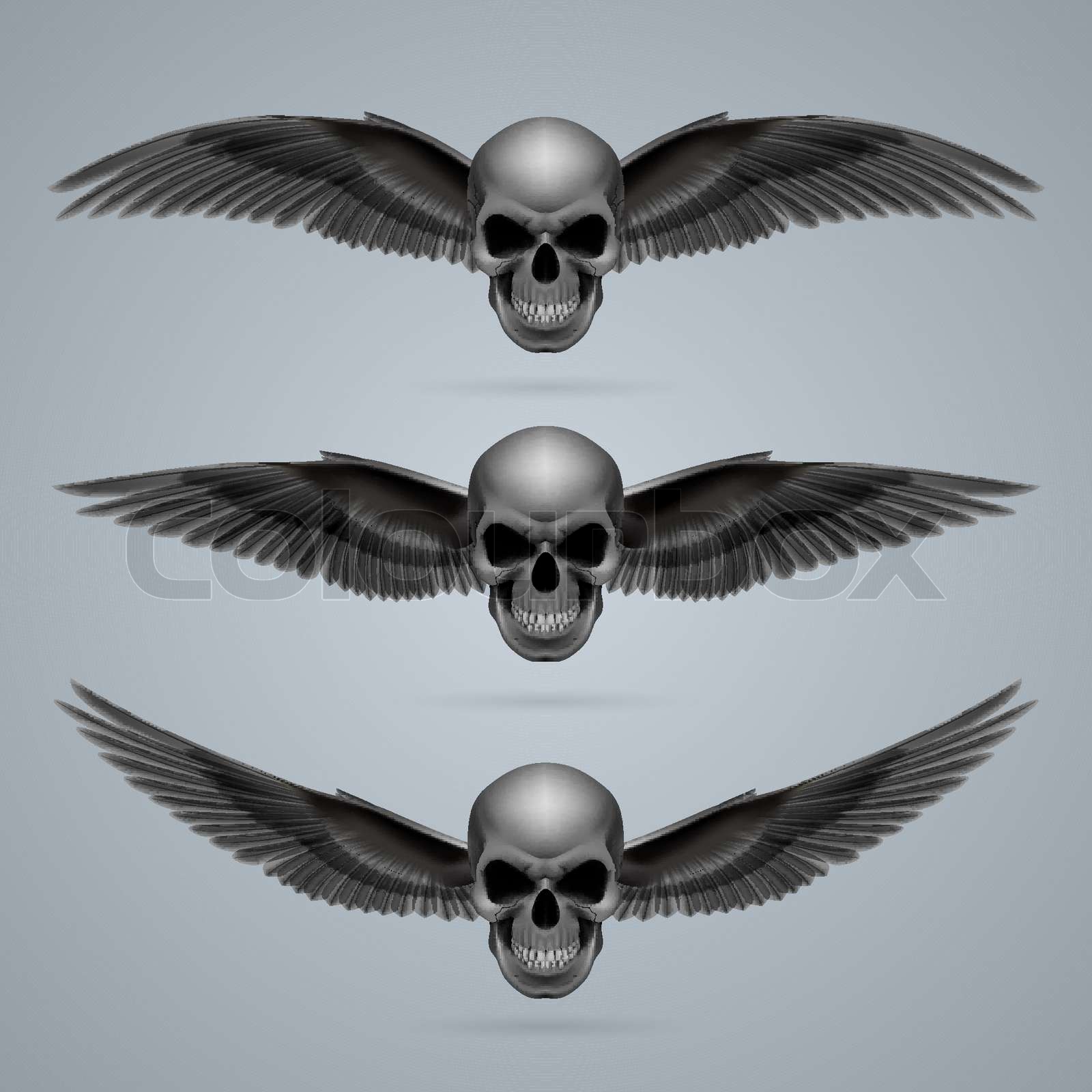 insignien, icon, rabe | Stock-Vektor | Colourbox