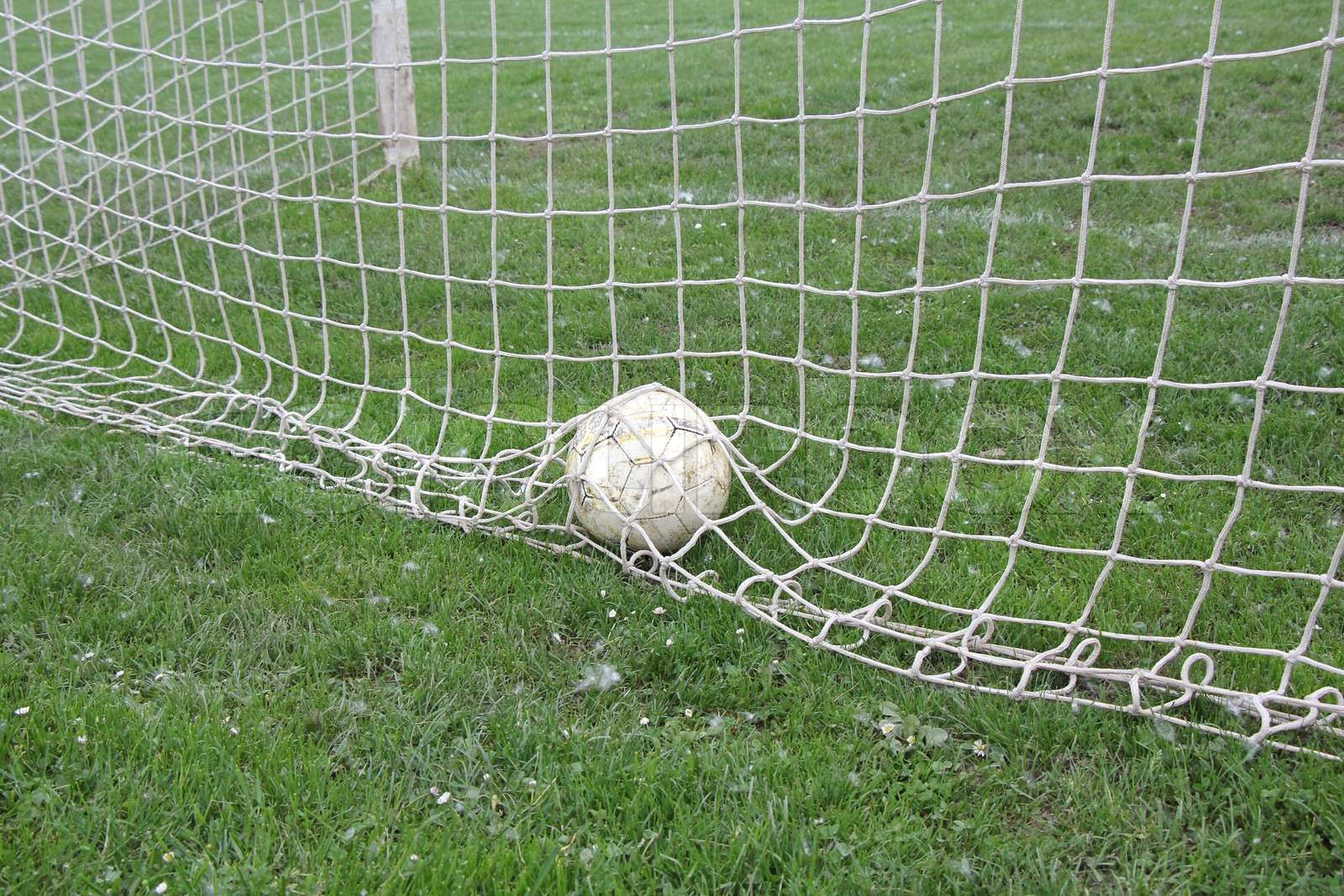 Soccer Ball in Net | Stock image | Colourbox