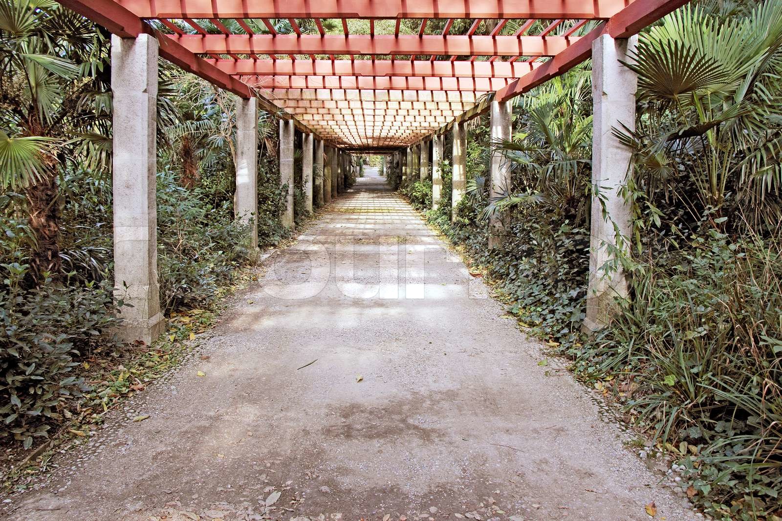 Pergola passage | Stock image | Colourbox