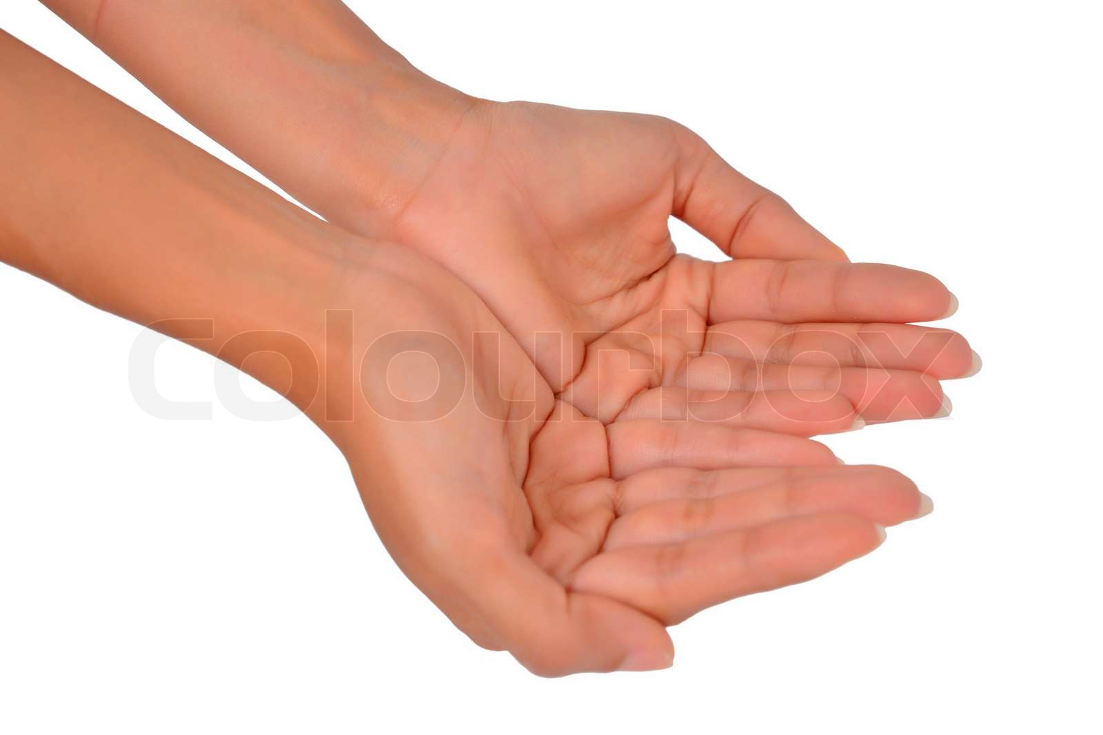 Open palm gesture | Stock image | Colourbox