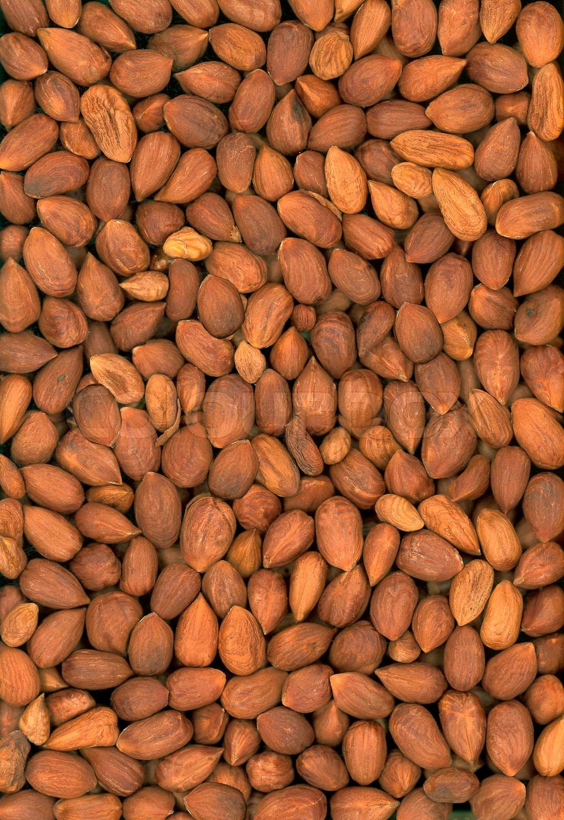 Nüsse | Stock Bild | Colourbox