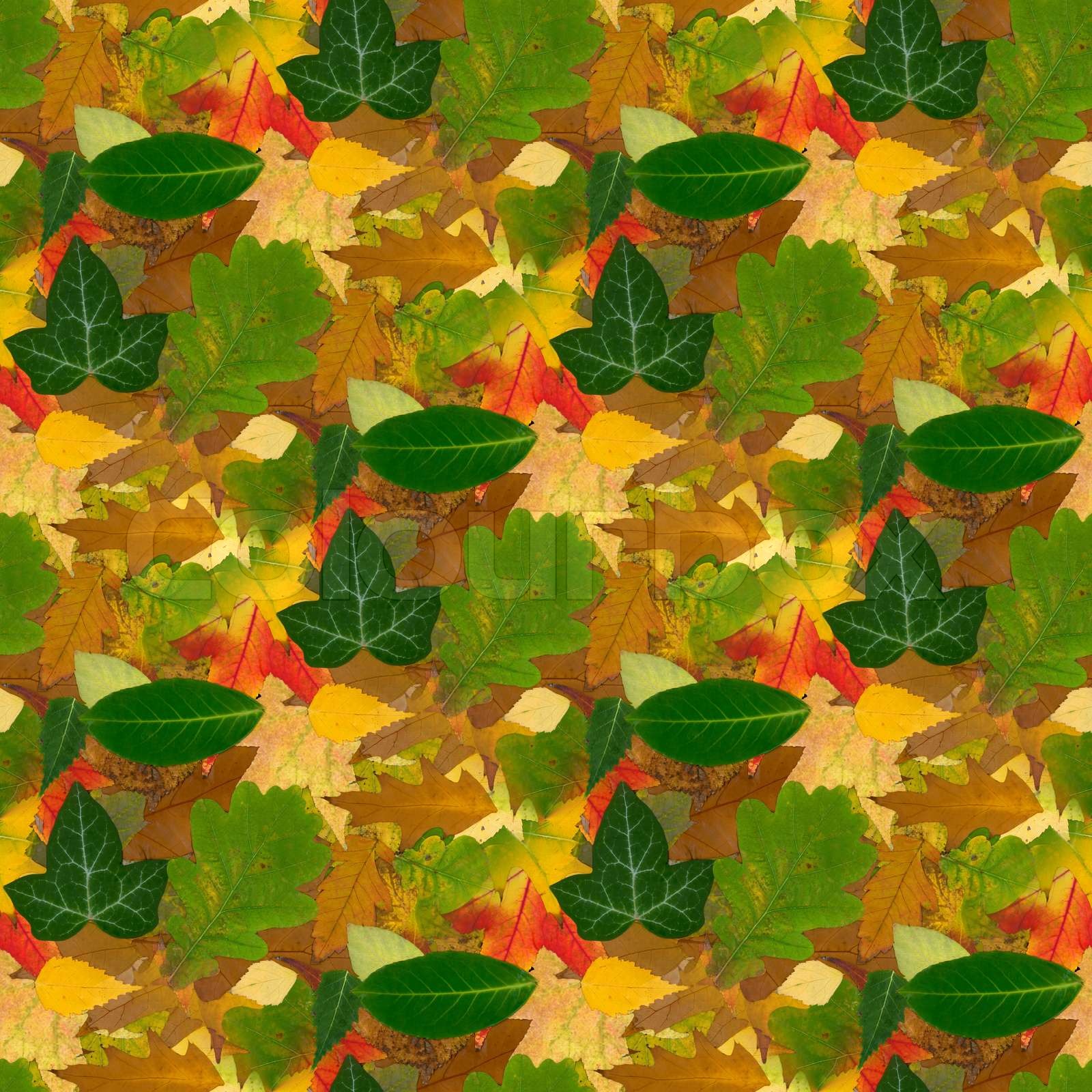 Seamless Fall Texture Background | Stock image | Colourbox