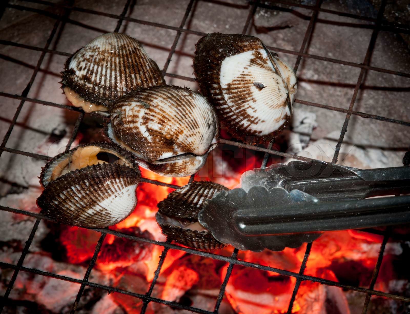 Fire grilled seashell on bbq | Stock image | Colourbox