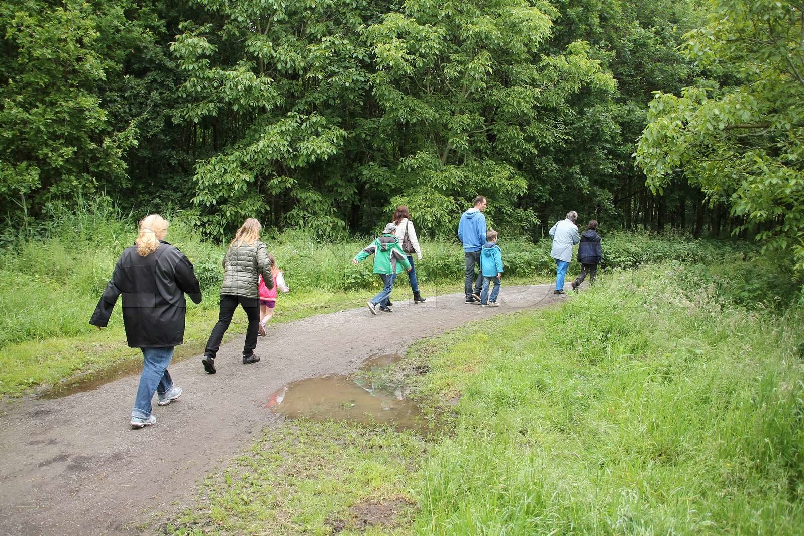 The group walking about the path and follow the guide through the ...
