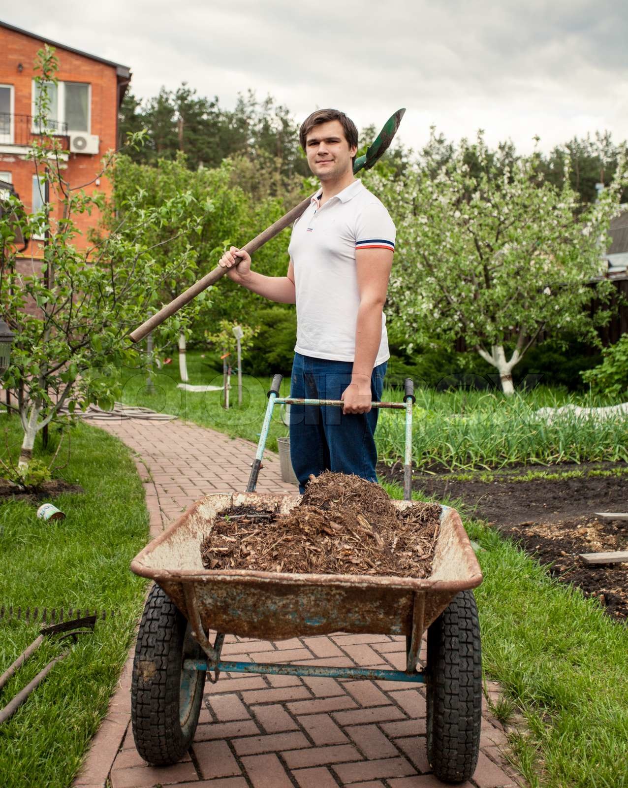 smiling man with spade and garden wheelbarrow | Stock image | Colourbox