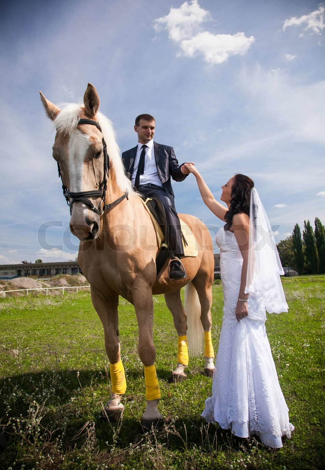 Groom riding a horse giving hand to brunette bride | Stock image ...