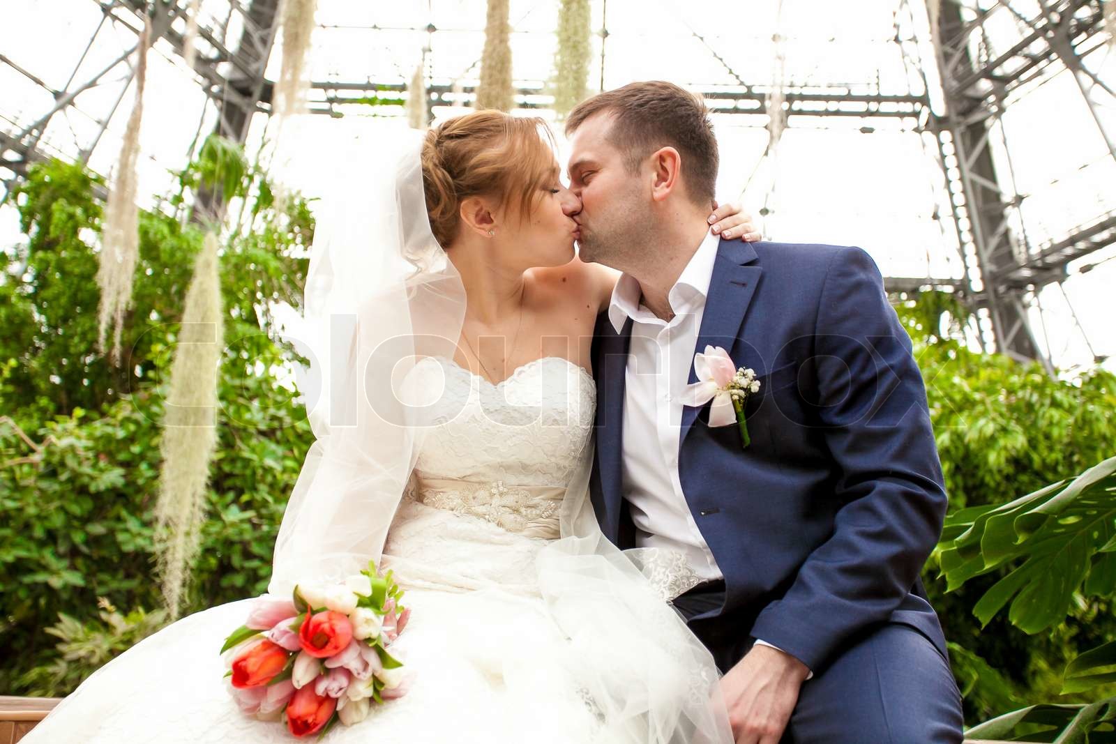 Just married couple kissing at orangery | Stock image | Colourbox