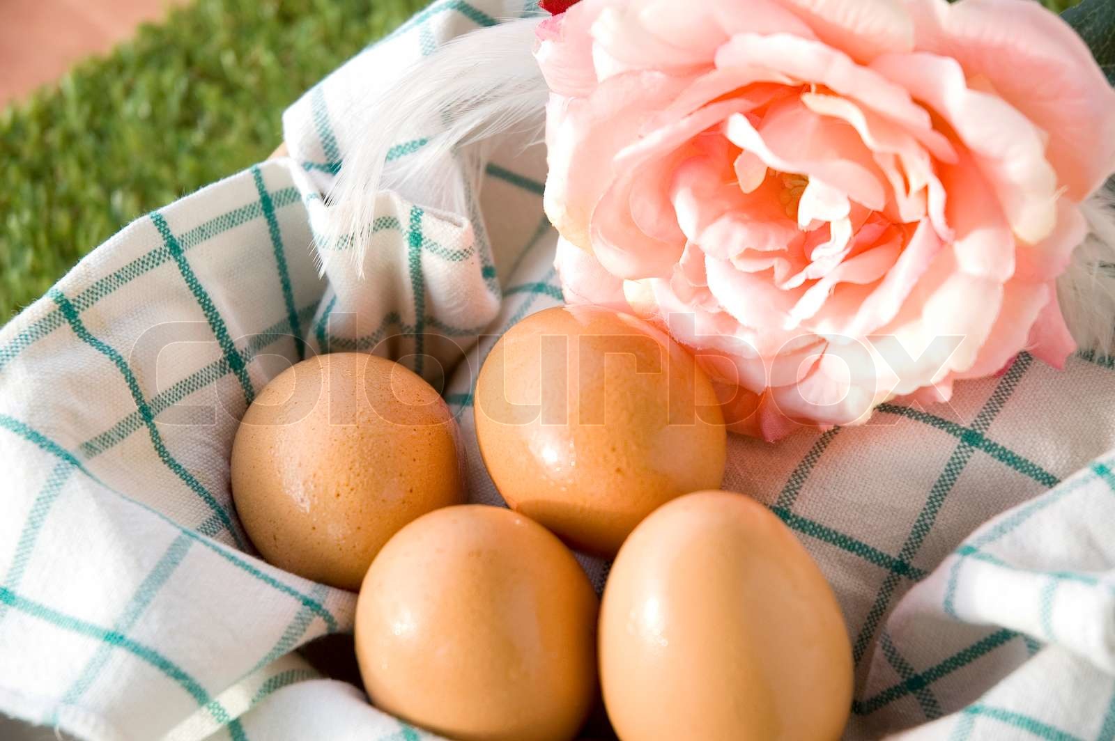 Nahaufnahme Eier | Stock Bild | Colourbox