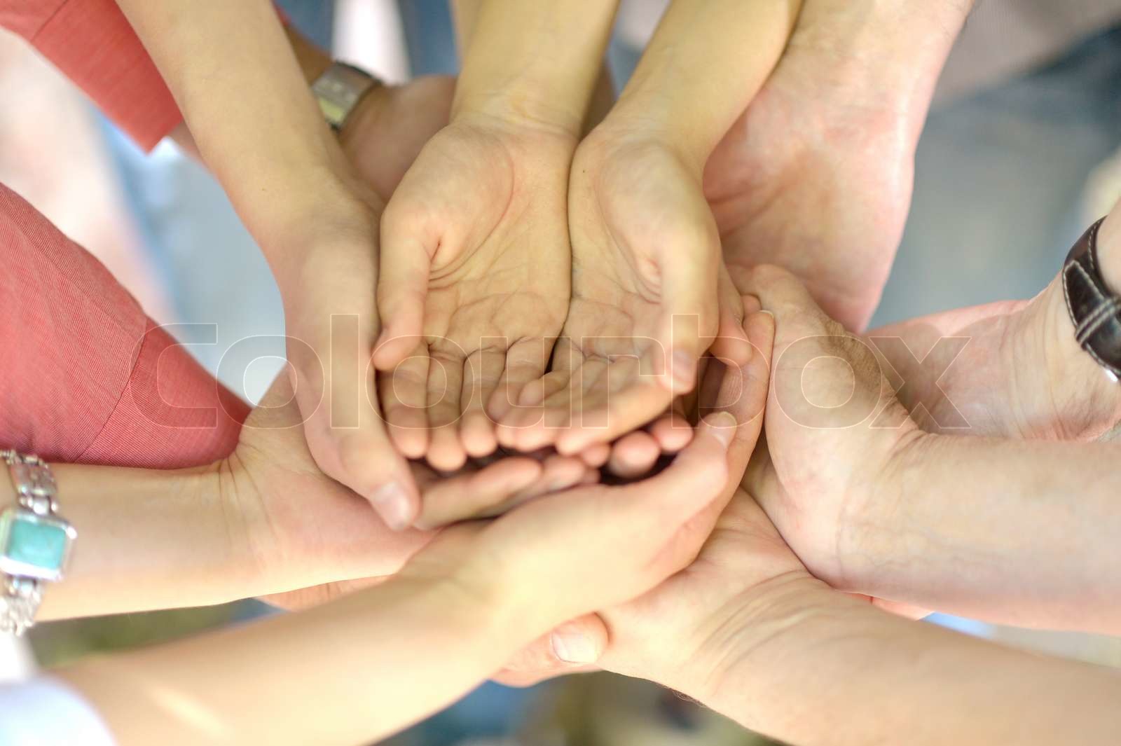 Hands of a family | Stock image | Colourbox
