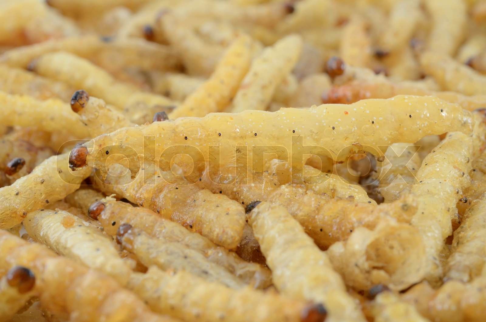 raupe, wurm, körper | Stock Bild | Colourbox