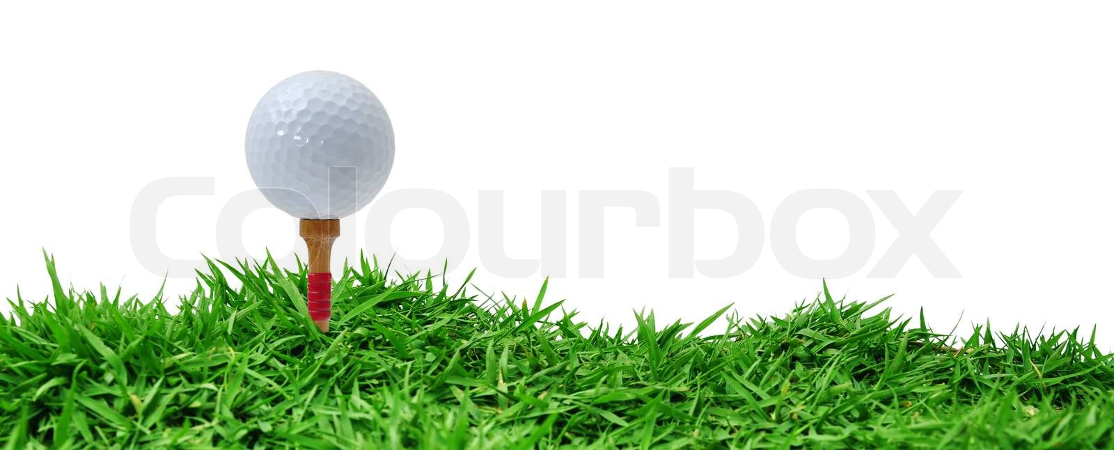 golf tee off | Stock image | Colourbox