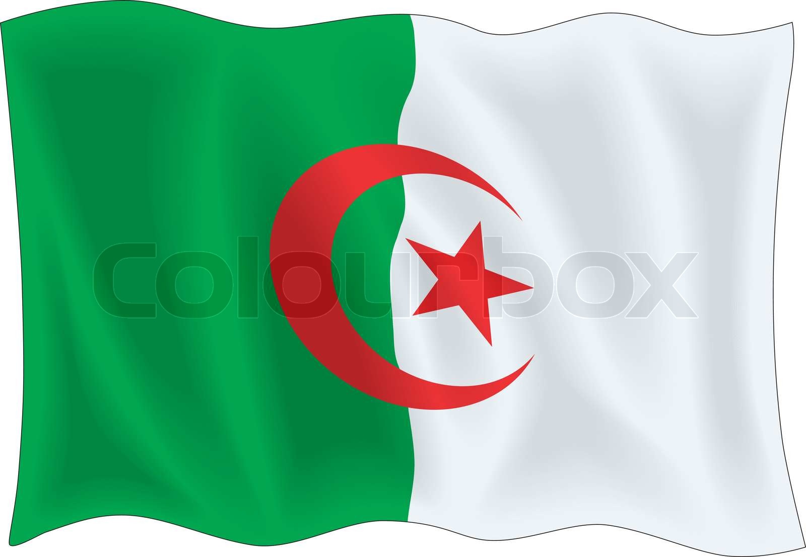 Algerian flag | Stock vector | Colourbox