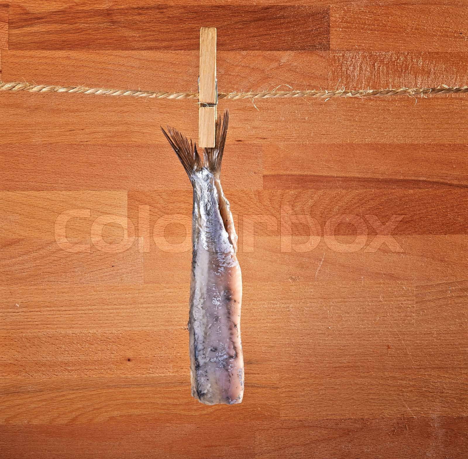 Typical Dutch salted herring called maatje or zoute haring | Stock ...