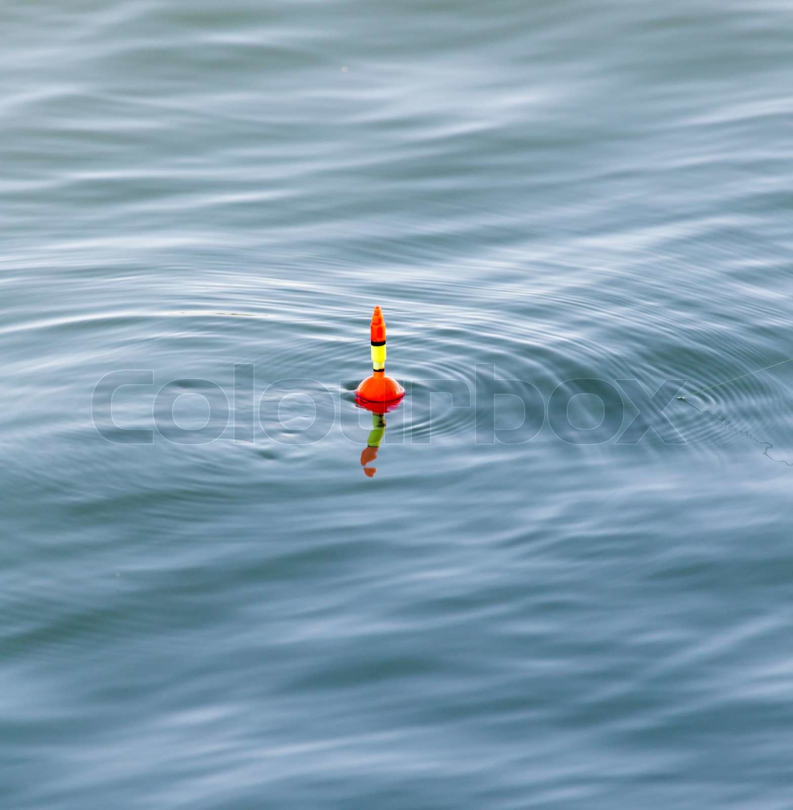 float for fishing in water | Stock image | Colourbox