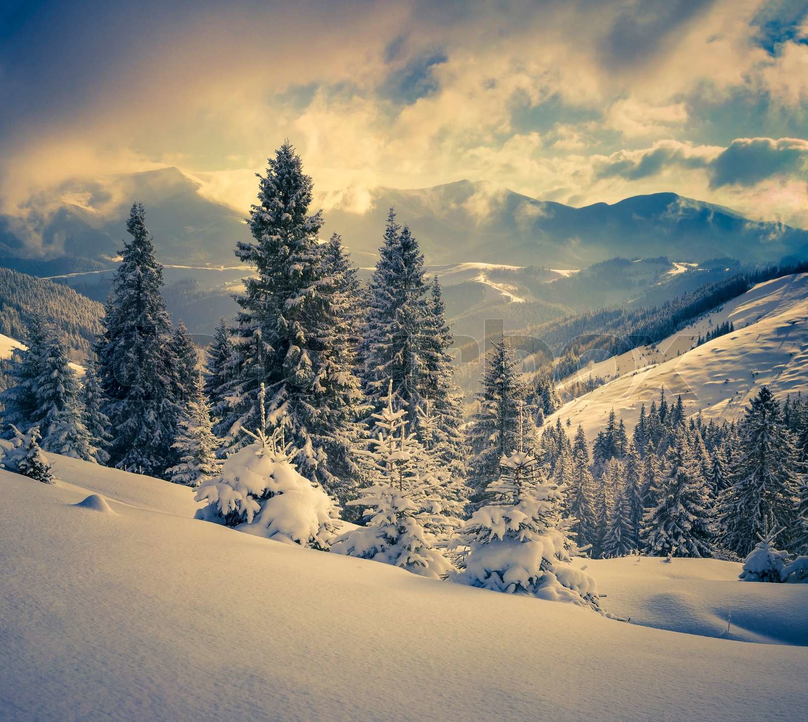 Winter Tree Landscape