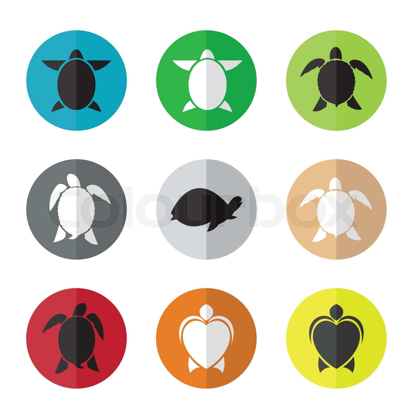 Vector group of turtle in the circle | Stock vector | Colourbox