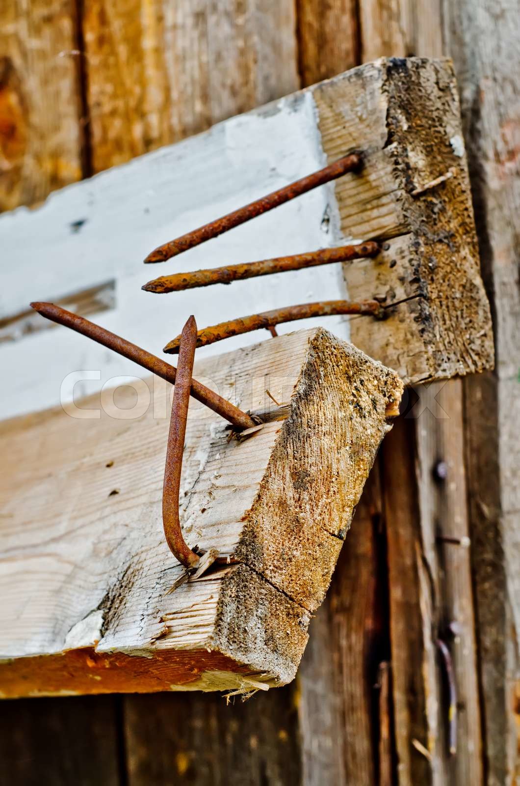rusty nails | Stock image | Colourbox