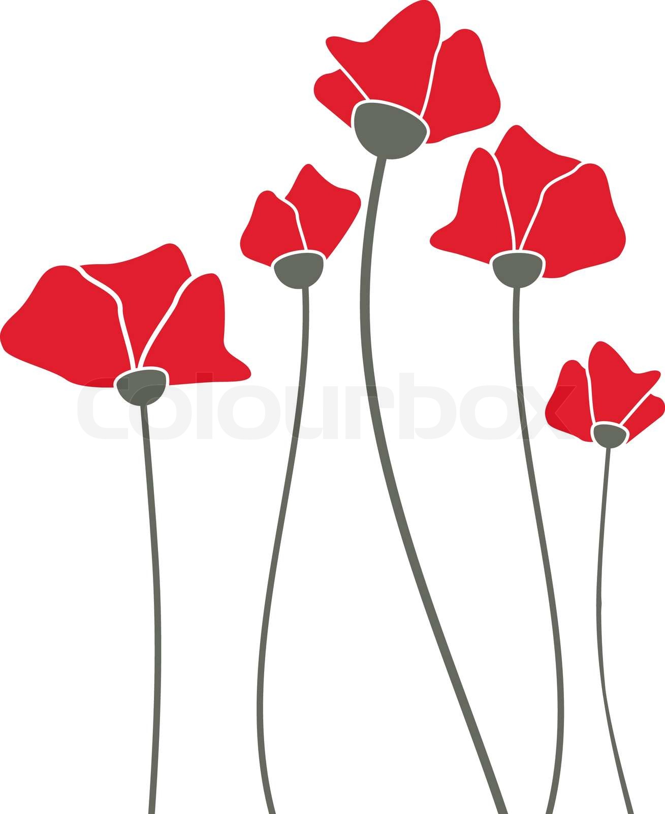 mohnblume, blume, abbildung | Stock-Vektor | Colourbox