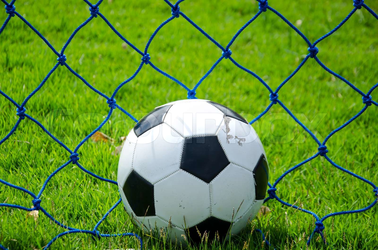 Goal | Stock image | Colourbox