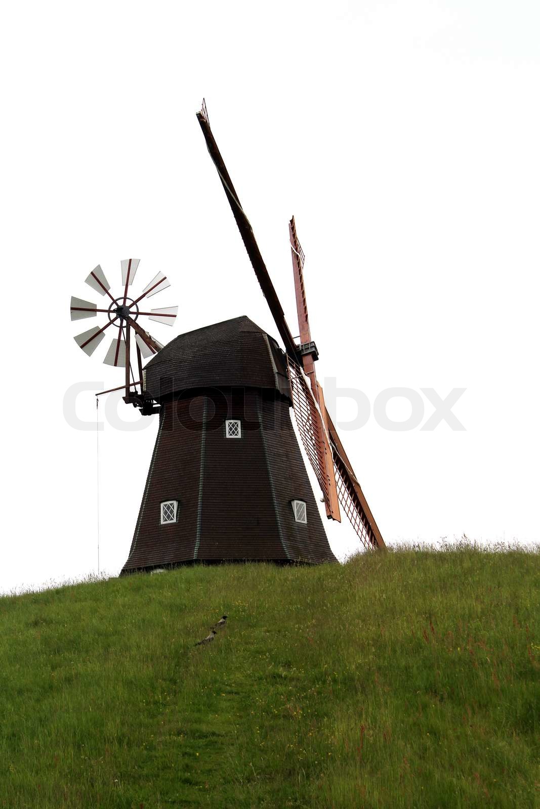 Dutch wind turbine | Stock image | Colourbox