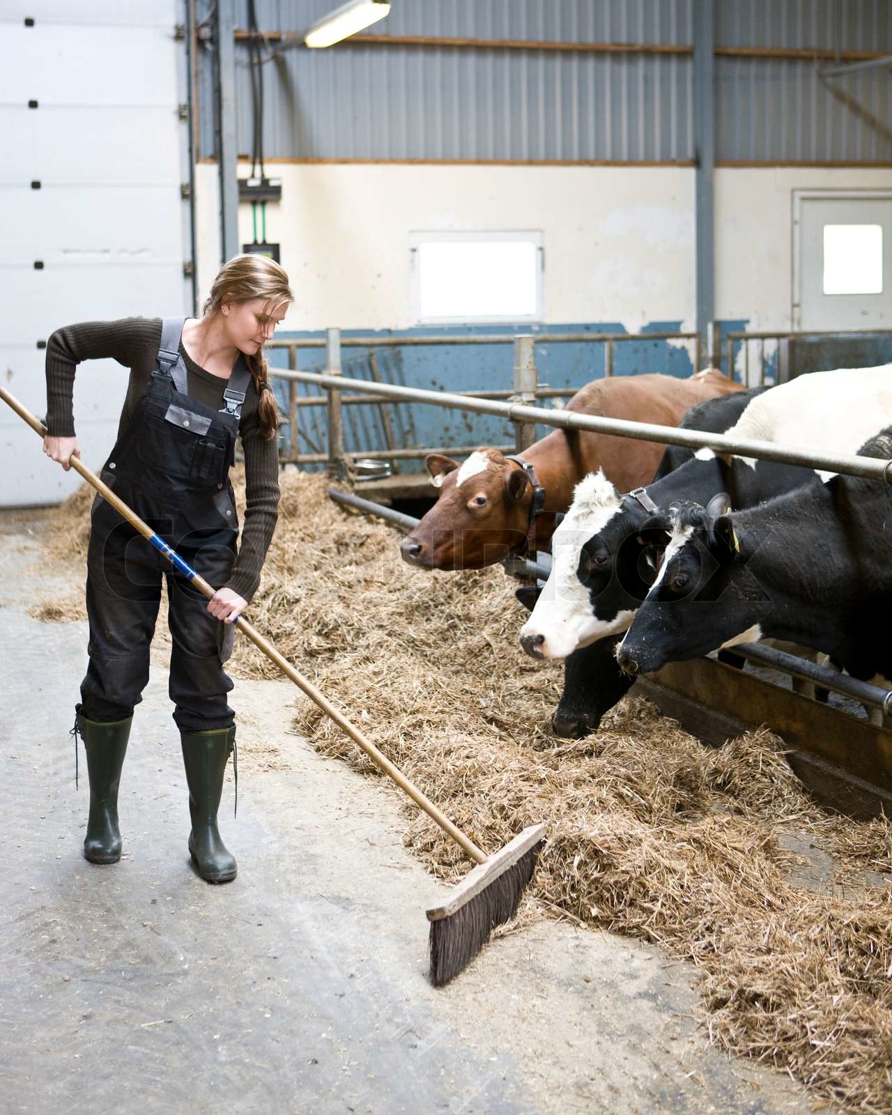 Farmer working | Stock image | Colourbox