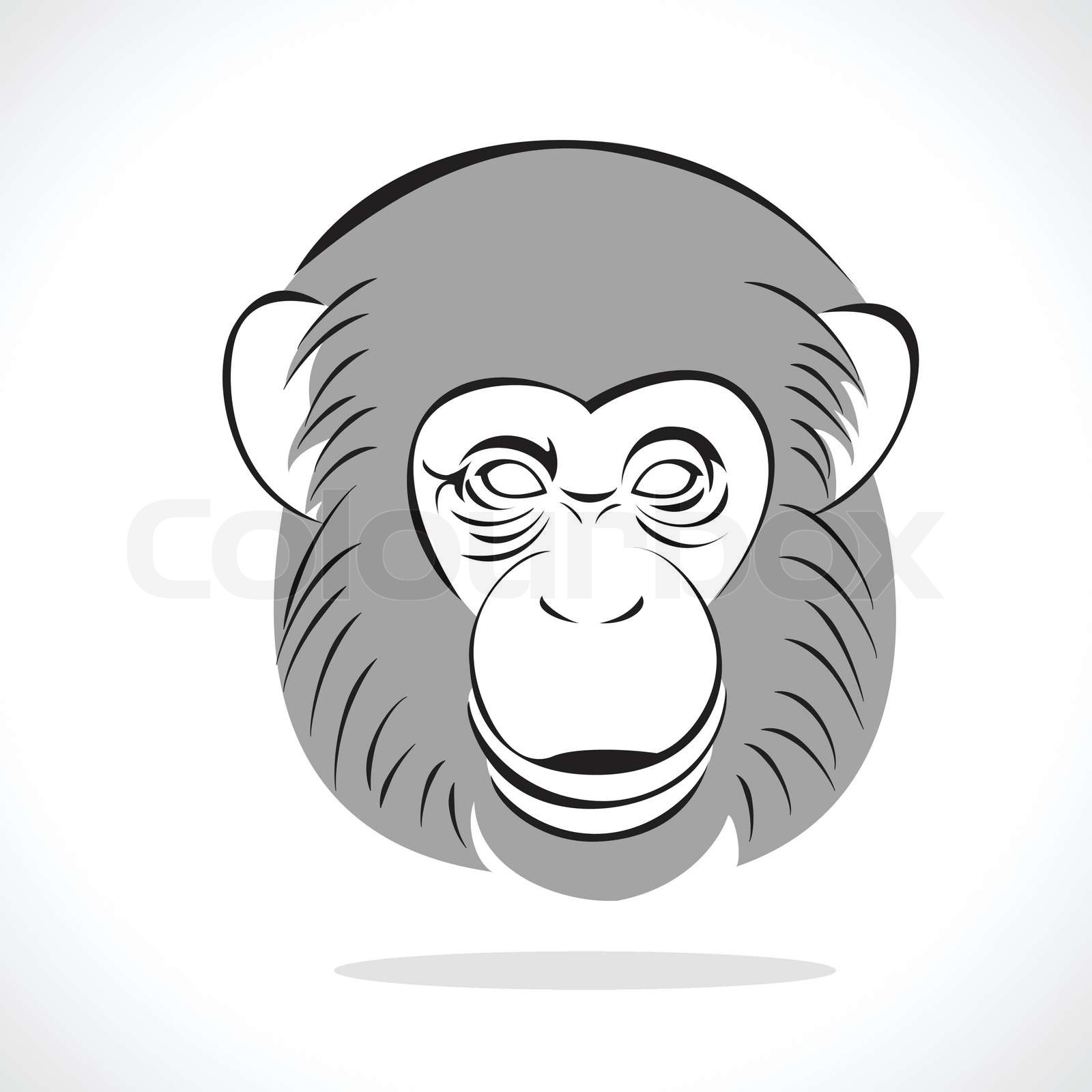 monkey | Stock vector | Colourbox