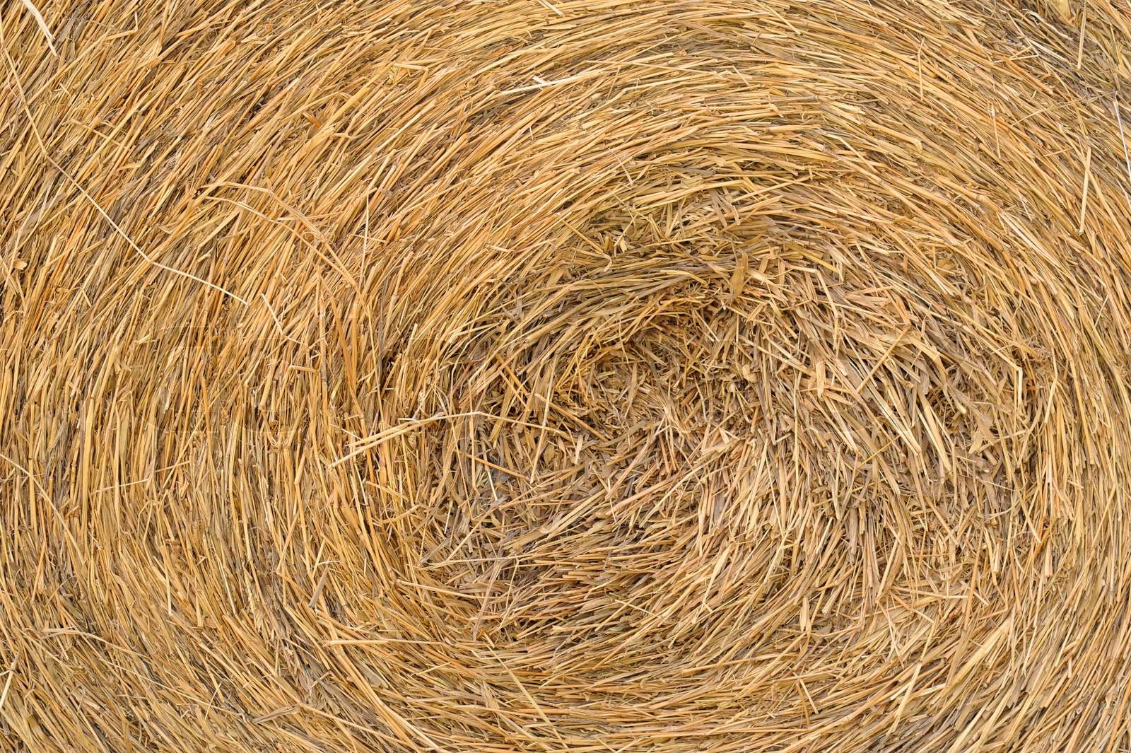Straw rolls texture | Stock image | Colourbox
