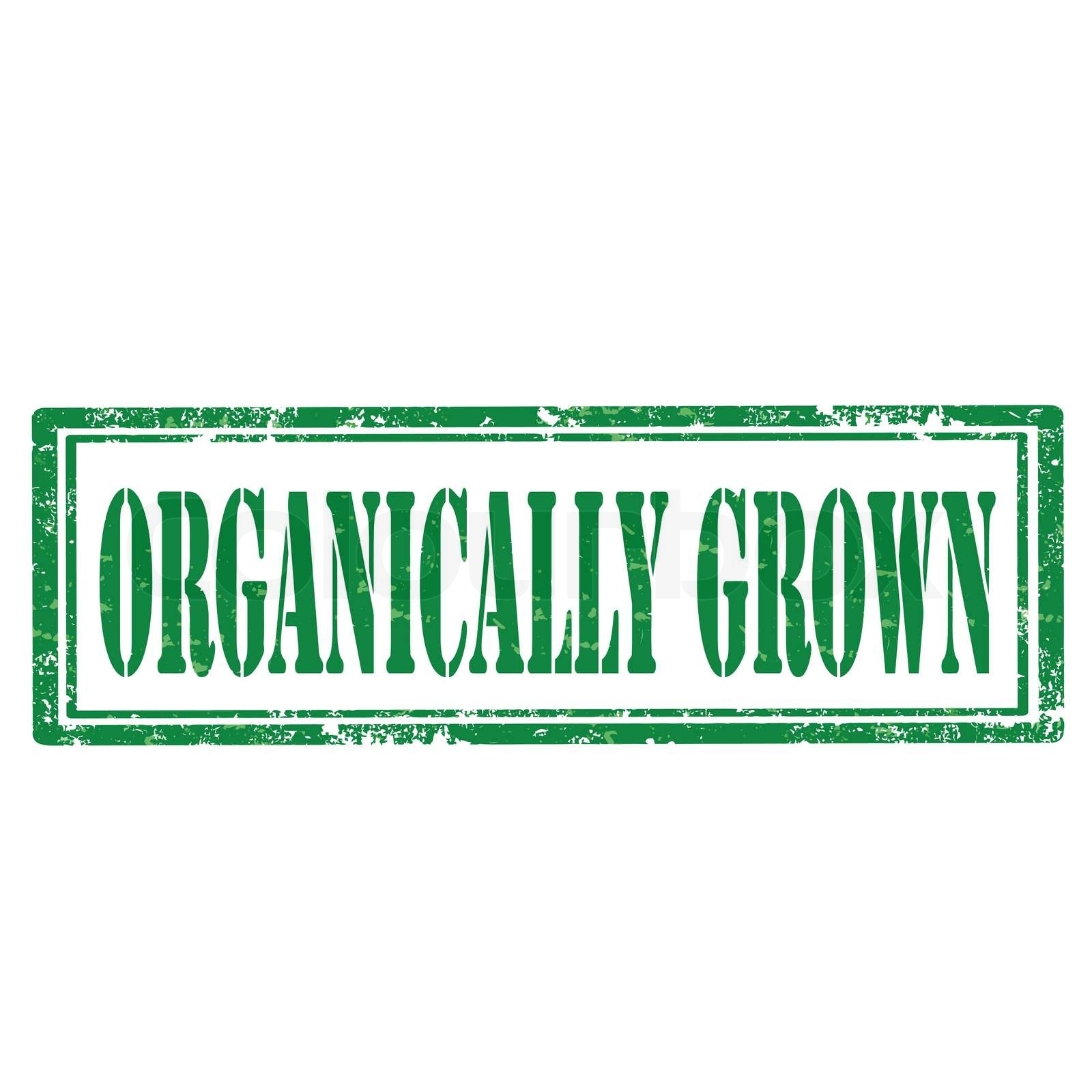 Organically Grown-stamp | Stock vector | Colourbox