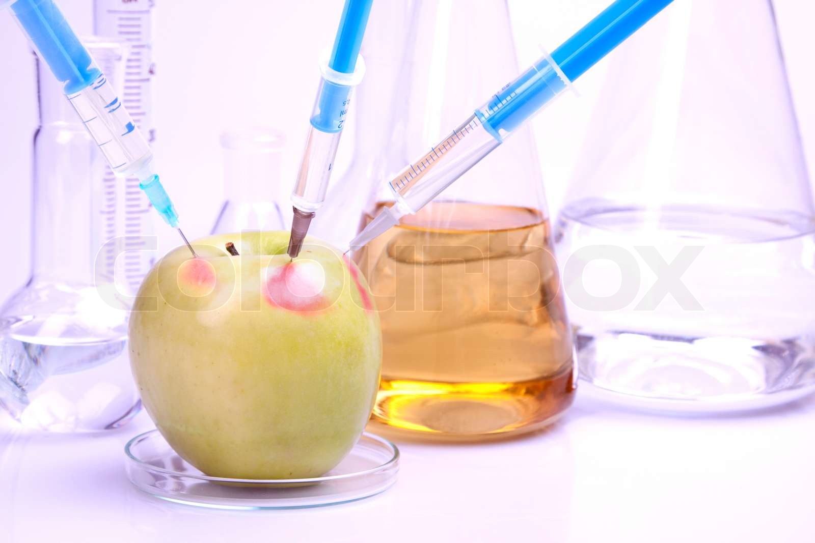 Genetically modified fruits and vegetables | Stock image | Colourbox