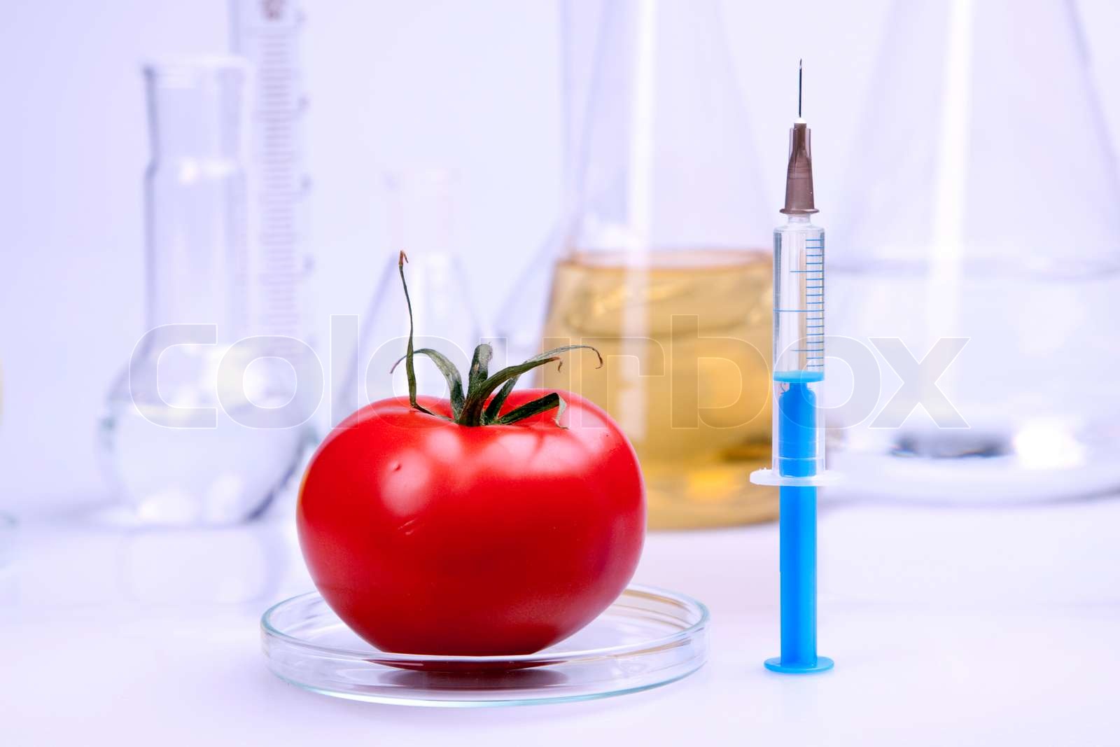 Genetically modified fruits and vegetables | Stock image | Colourbox