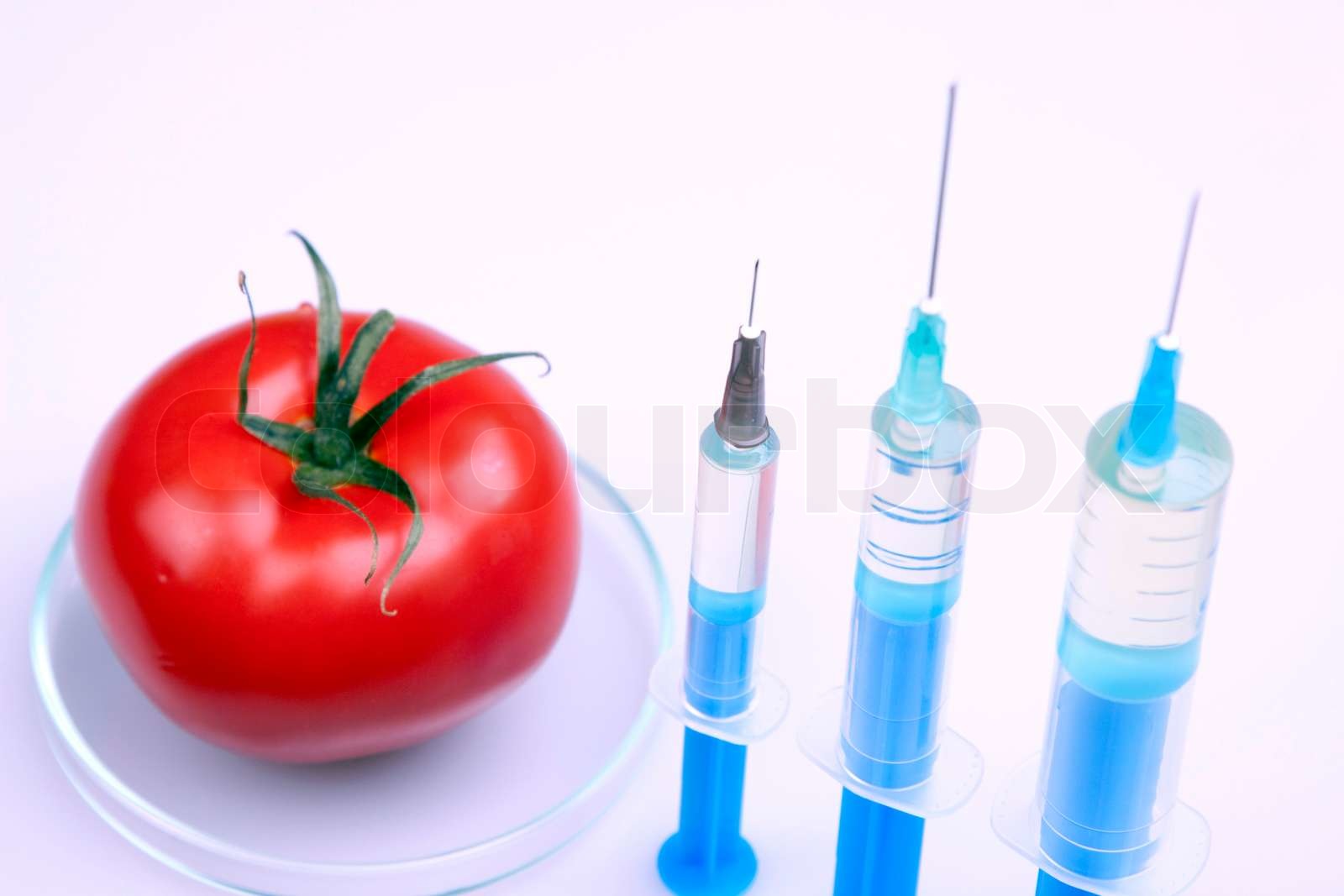 Genetically modified fruits and vegetables | Stock image | Colourbox