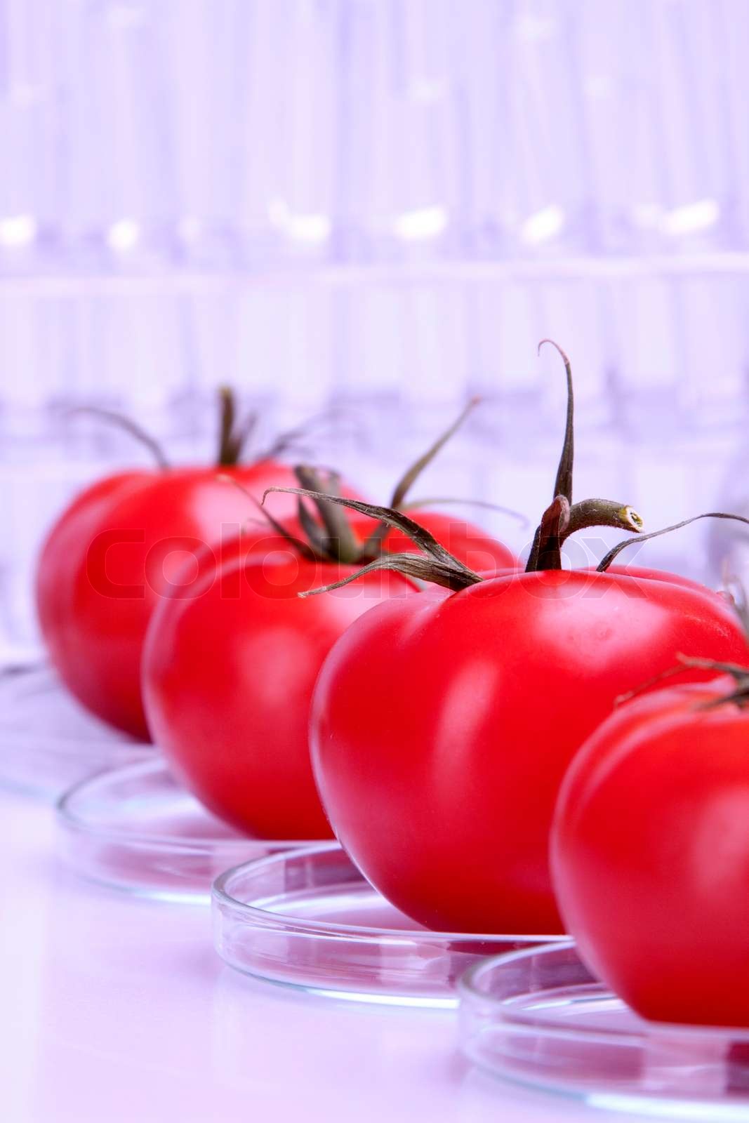 Genetically modified fruits and vegetables | Stock image | Colourbox